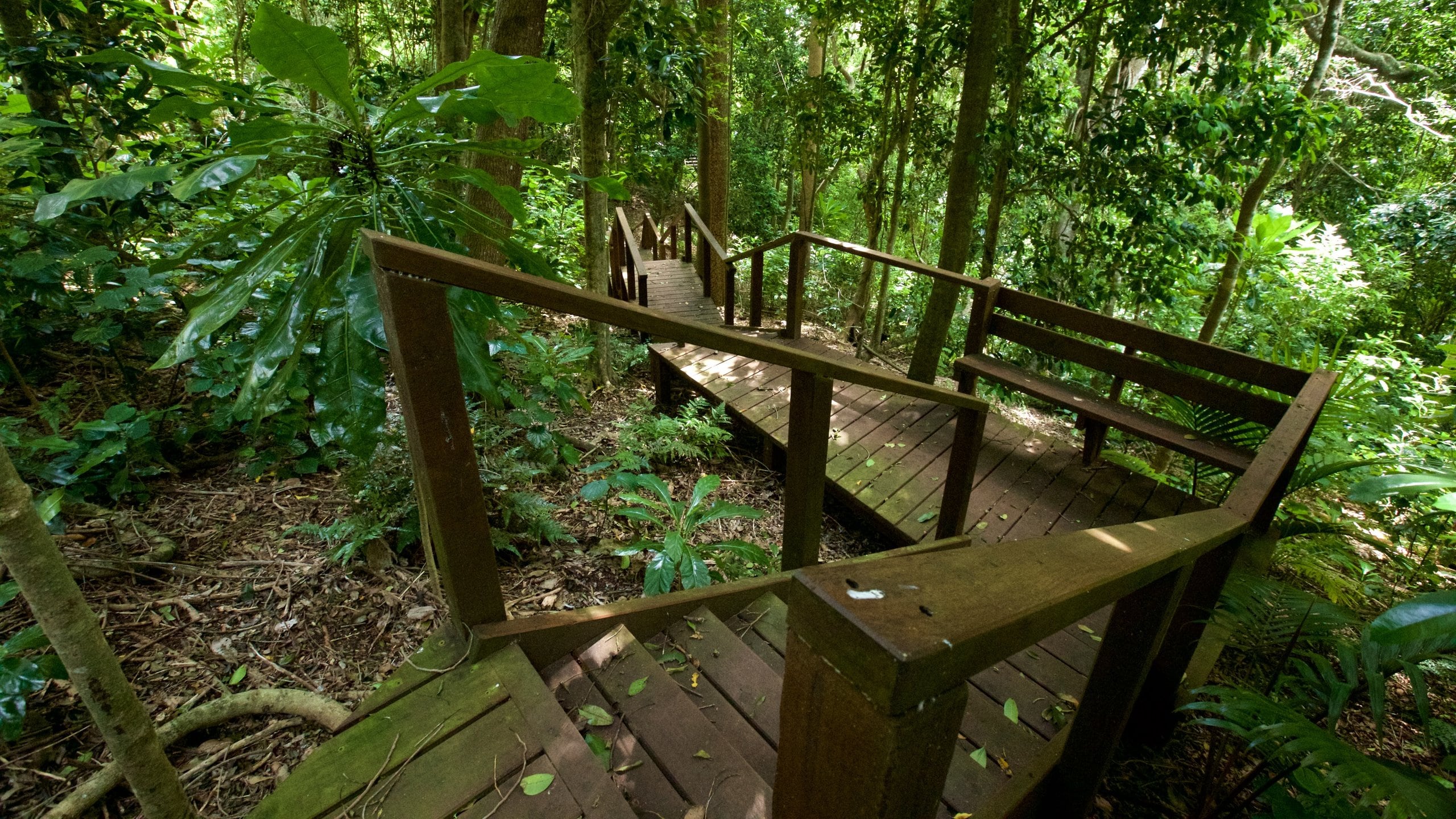 Burnt Pine, Norfolk Island Vacation Rentals: cottage rentals & more | Vrbo