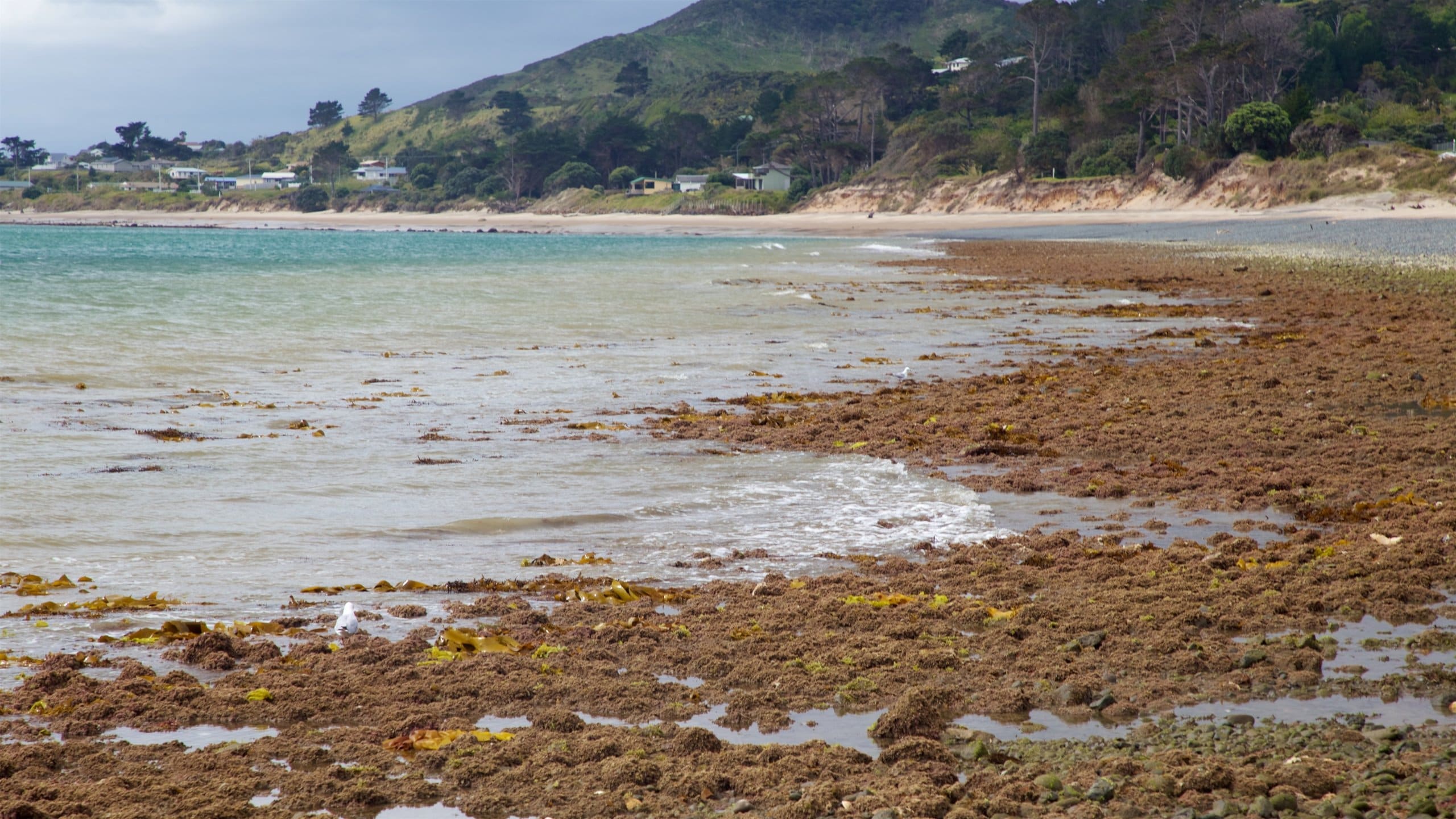 Omapere holiday homes: holiday houses & more | Bookabach