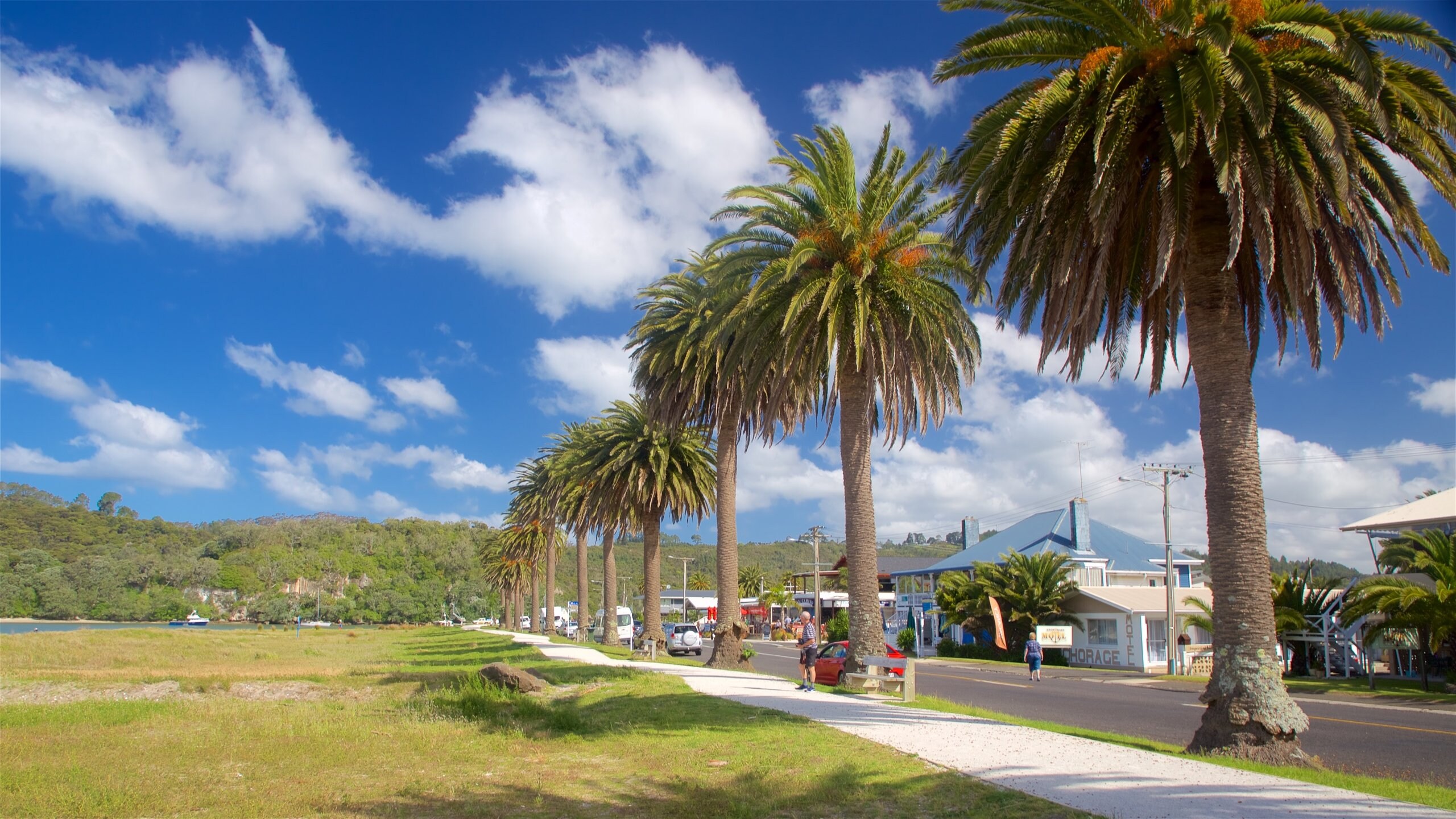 Waikato NZ Holiday Homes Holiday Houses More Bookabach Waikato NZ Holiday Homes Holiday Houses More Bookabach