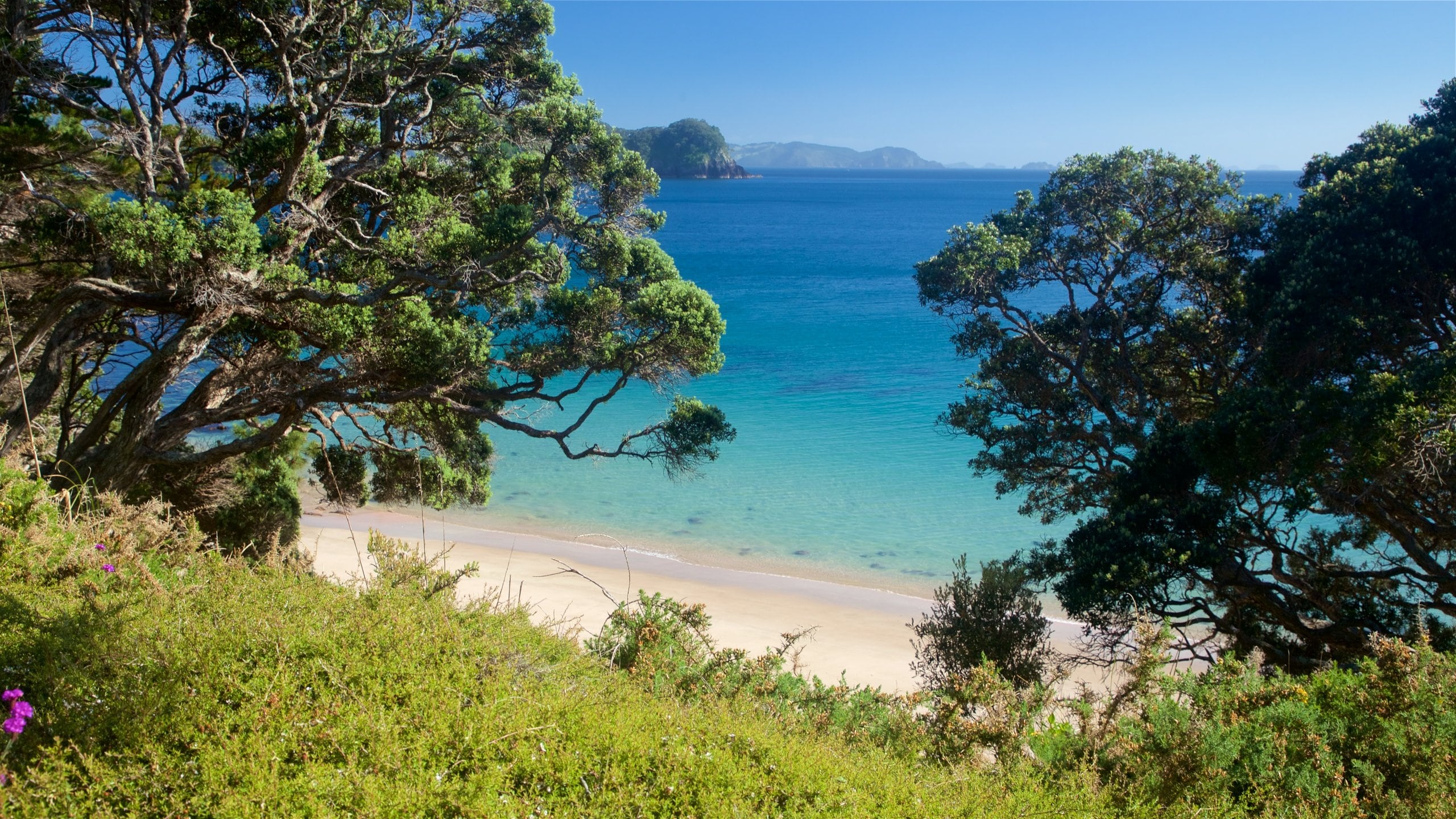 Hahei Beach Vacation Rentals: house rentals & more | Vrbo