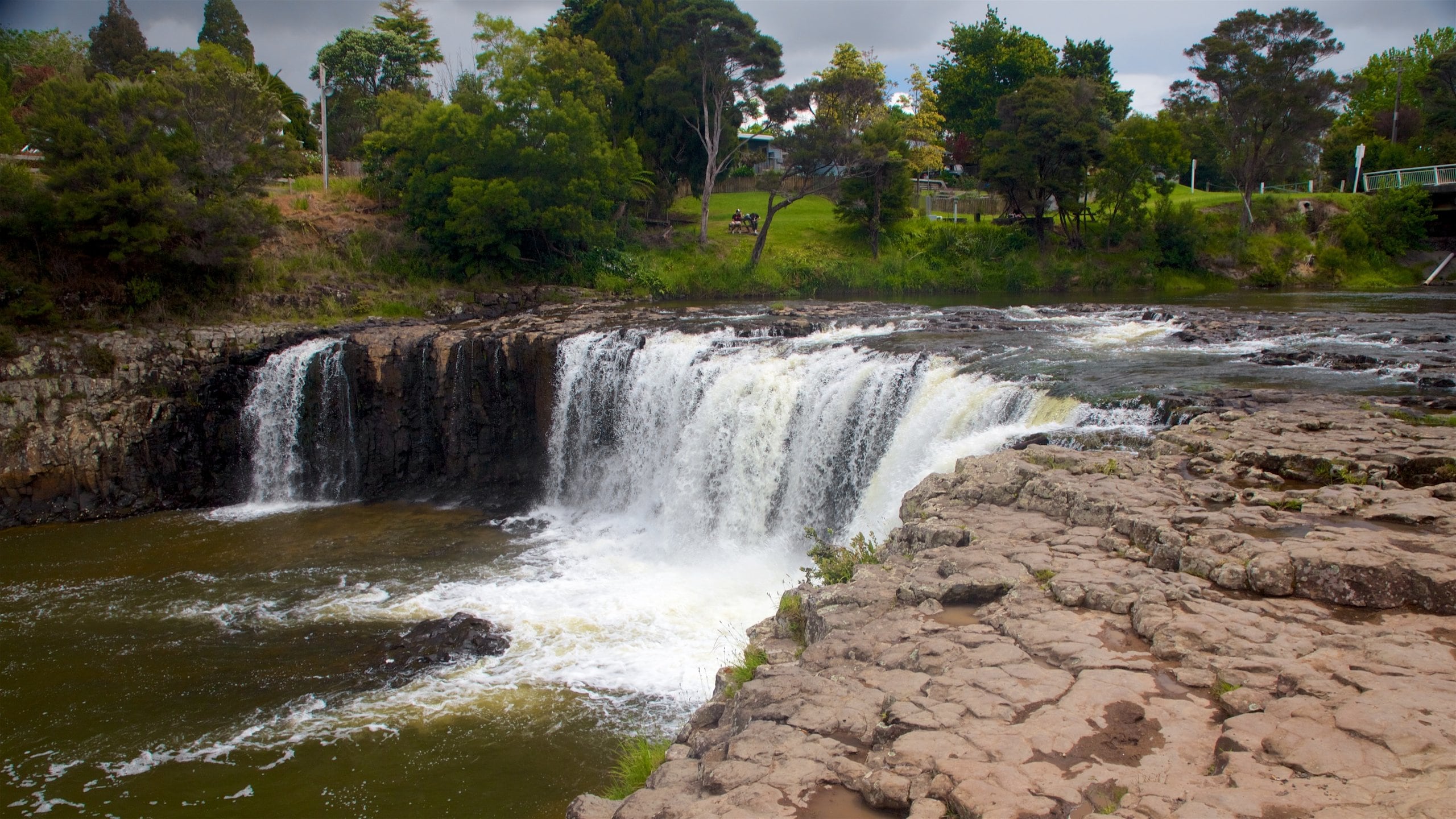 Haruru Falls - Tours and Activities | Expedia