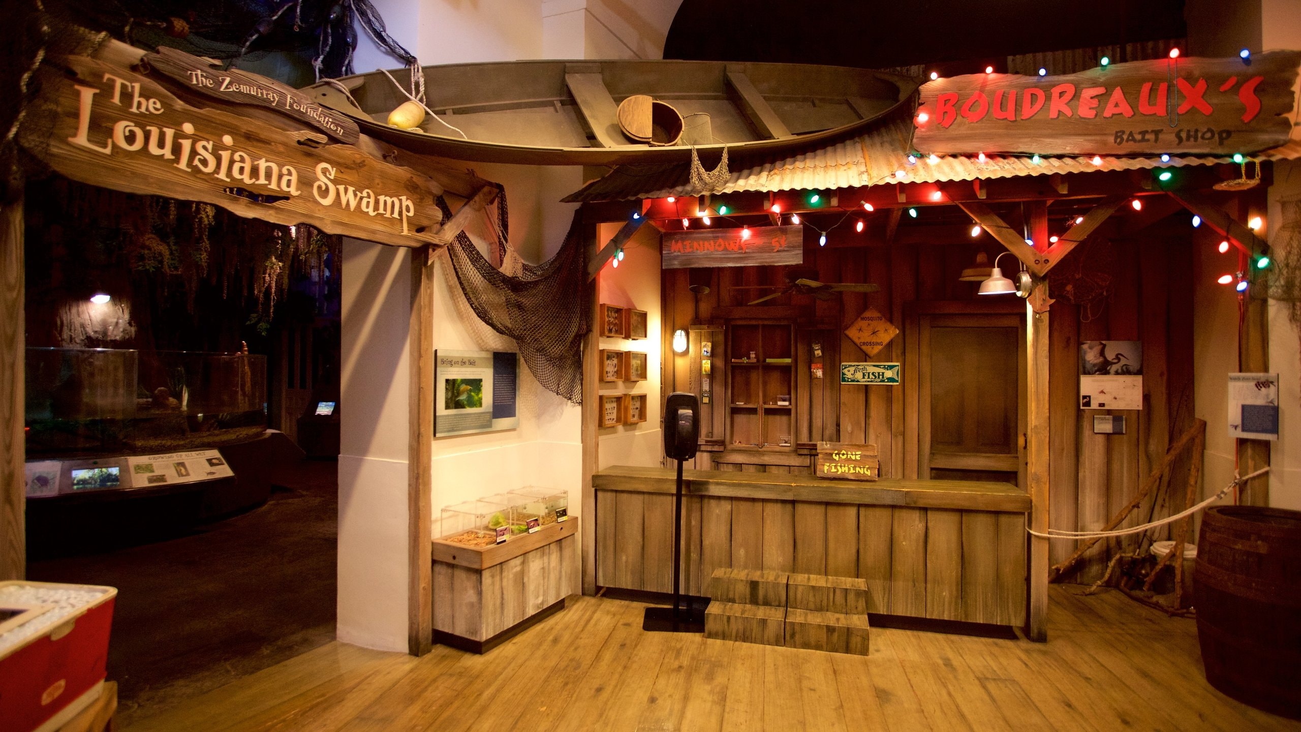 Audubon Insectarium in French Quarter | Expedia