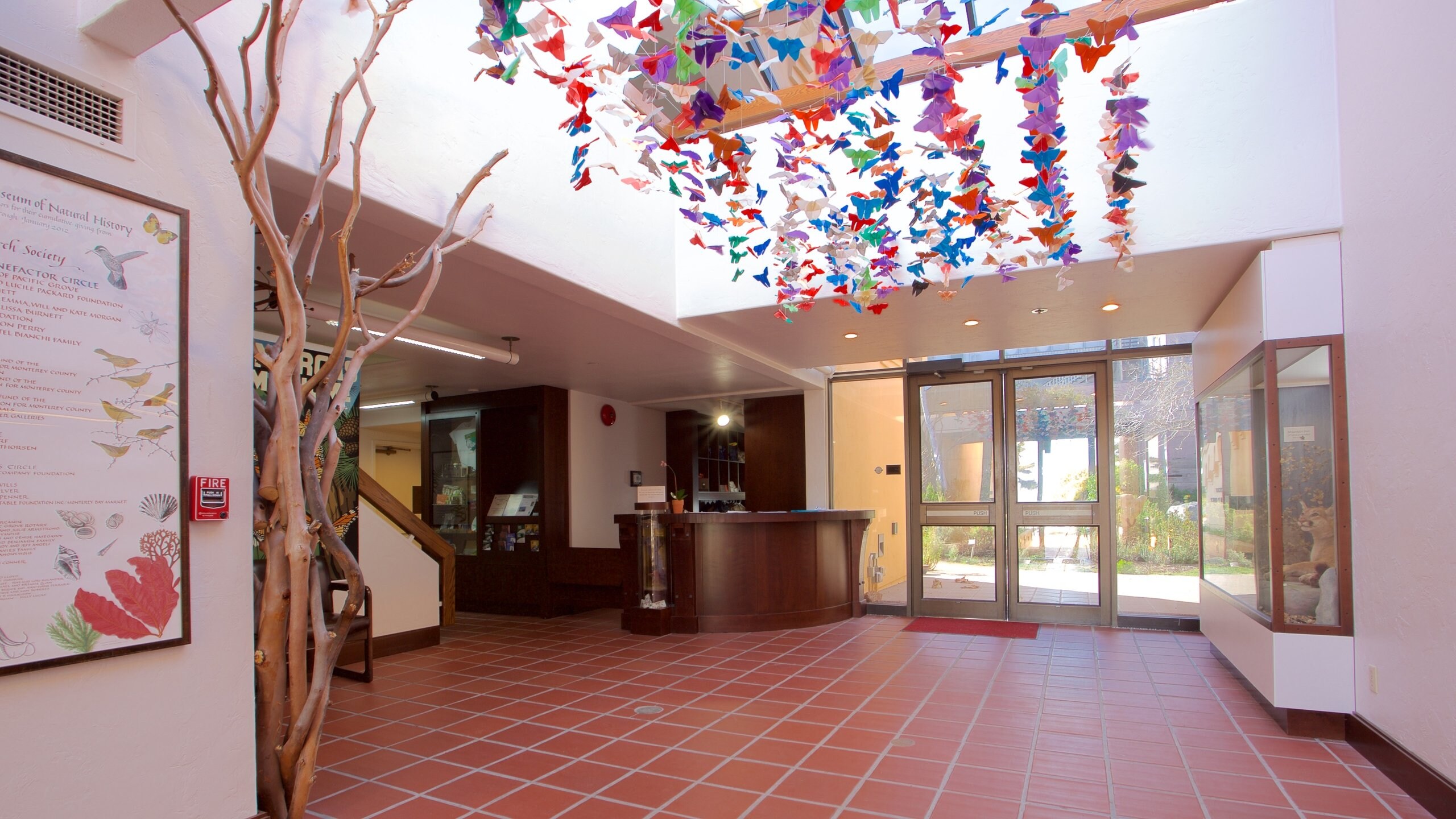 Visita Pacific Grove Museum of Natural History en Pacific Grove - Tours ...