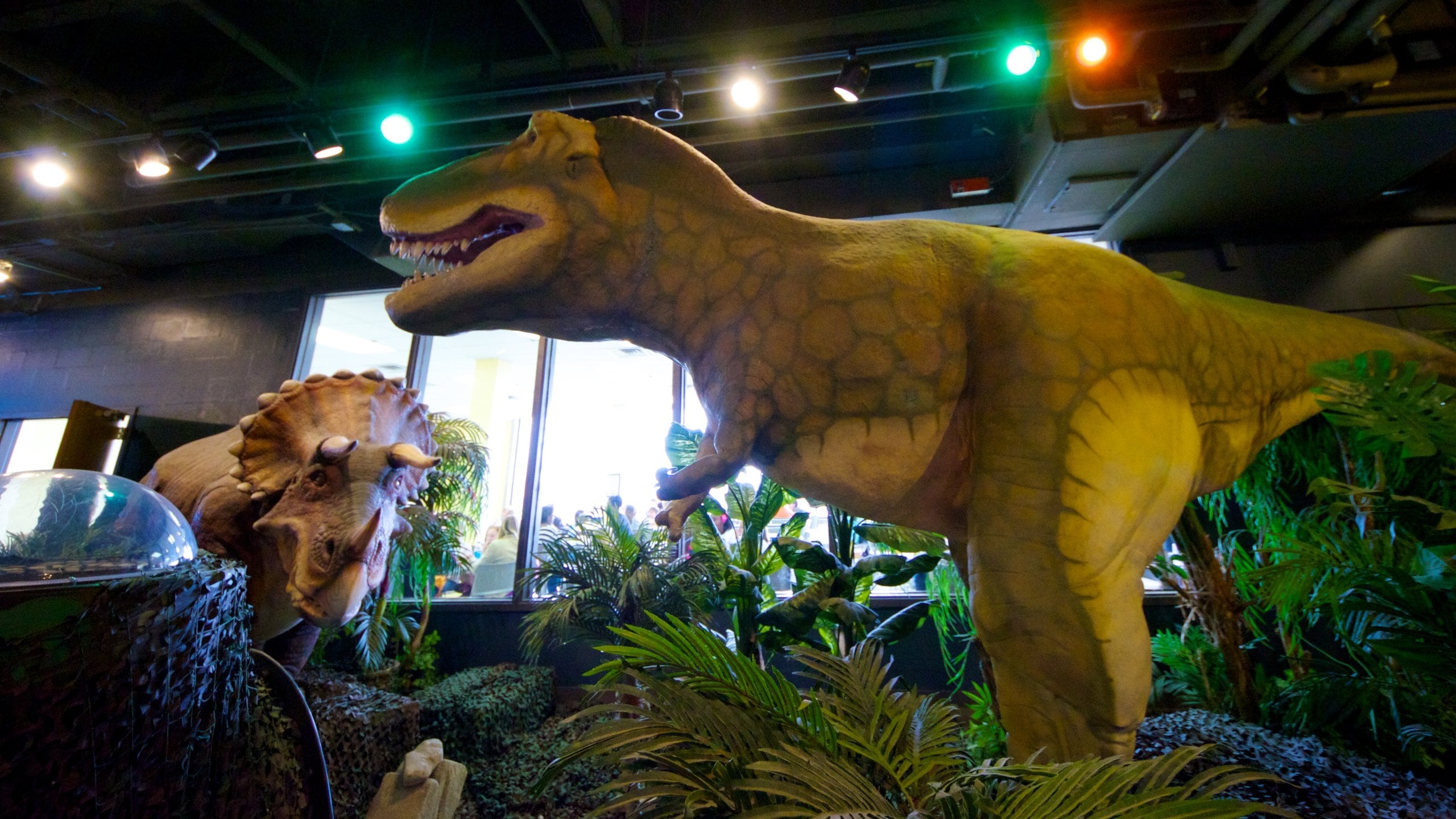 Adventure Science Center in South Nashville | Expedia