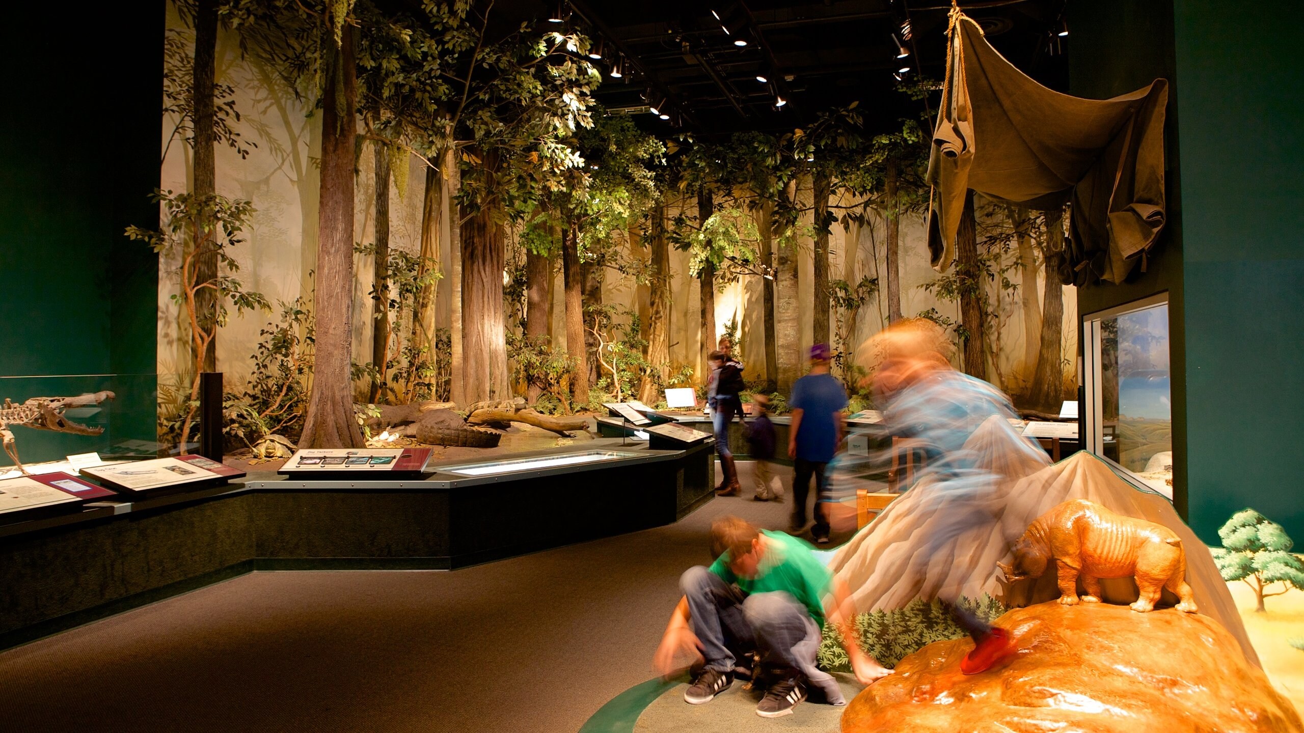 Museo De Ciencias De Minnesota