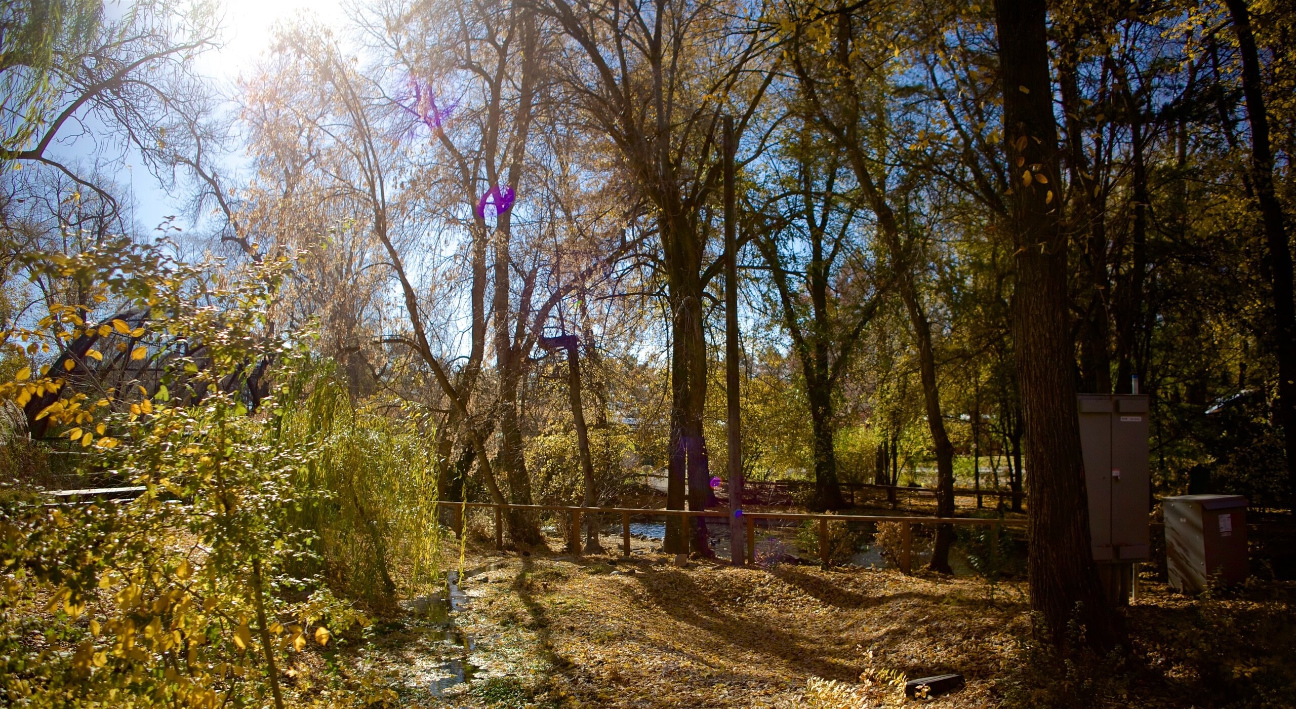 Tracy Aviary in Central City - Tours and Activities | Expedia