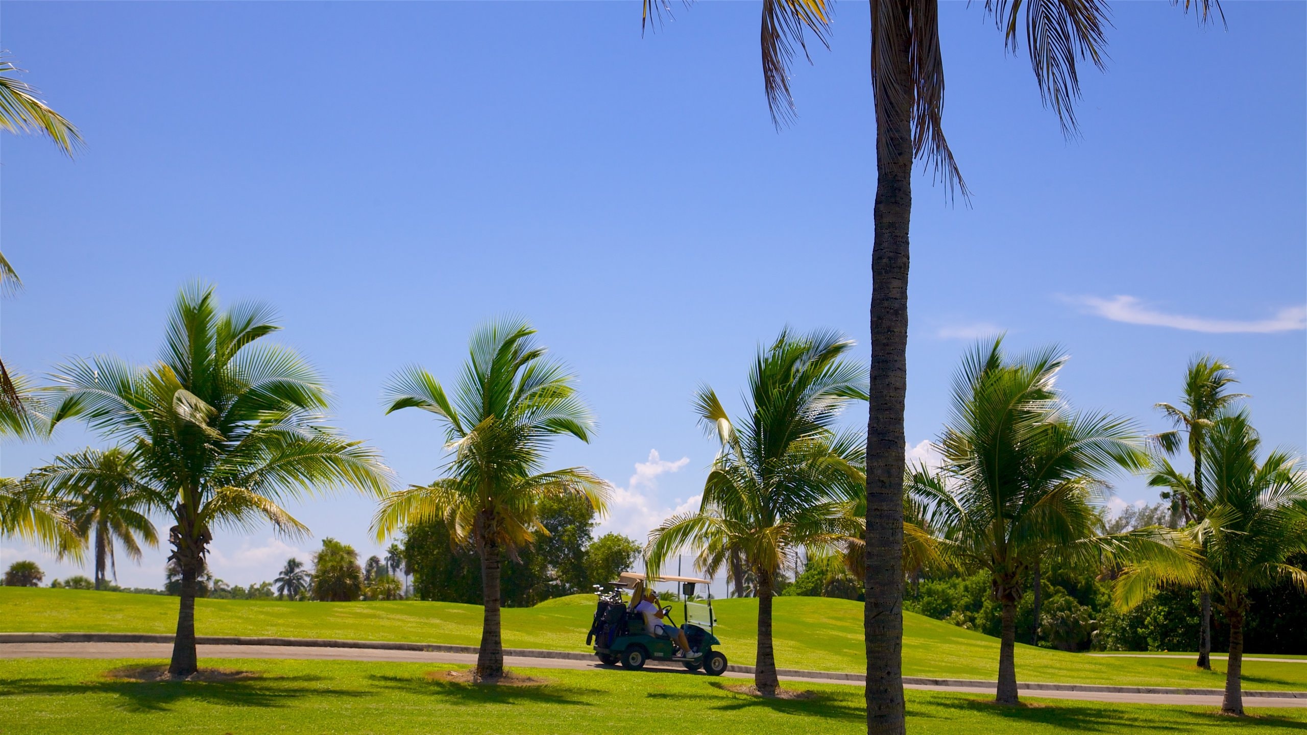Ferienwohnung Virginia Key Beach Park, US: Ferienhäuser & mehr | FeWo ...