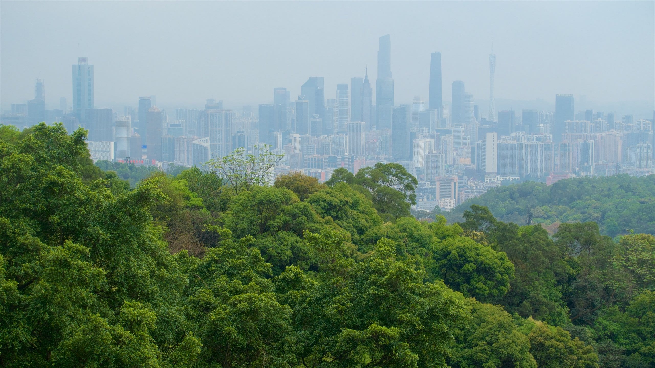 Visit Pearl River Delta: Best of Pearl River Delta Tourism | Expedia ...