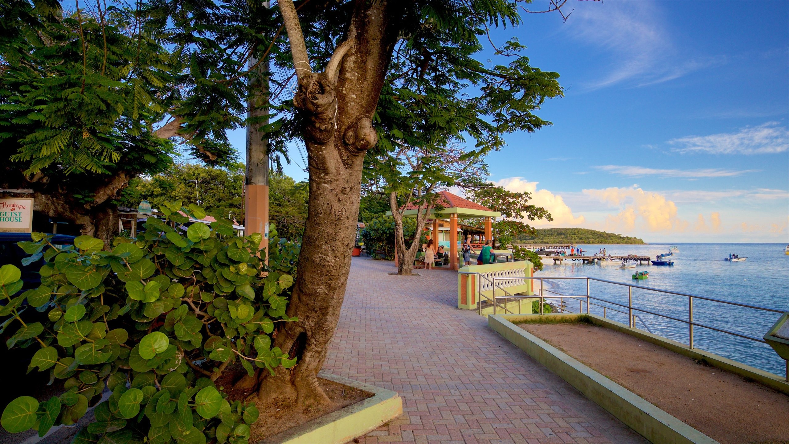 Esperanza, PR Vacation Rentals: house rentals & more | Vrbo