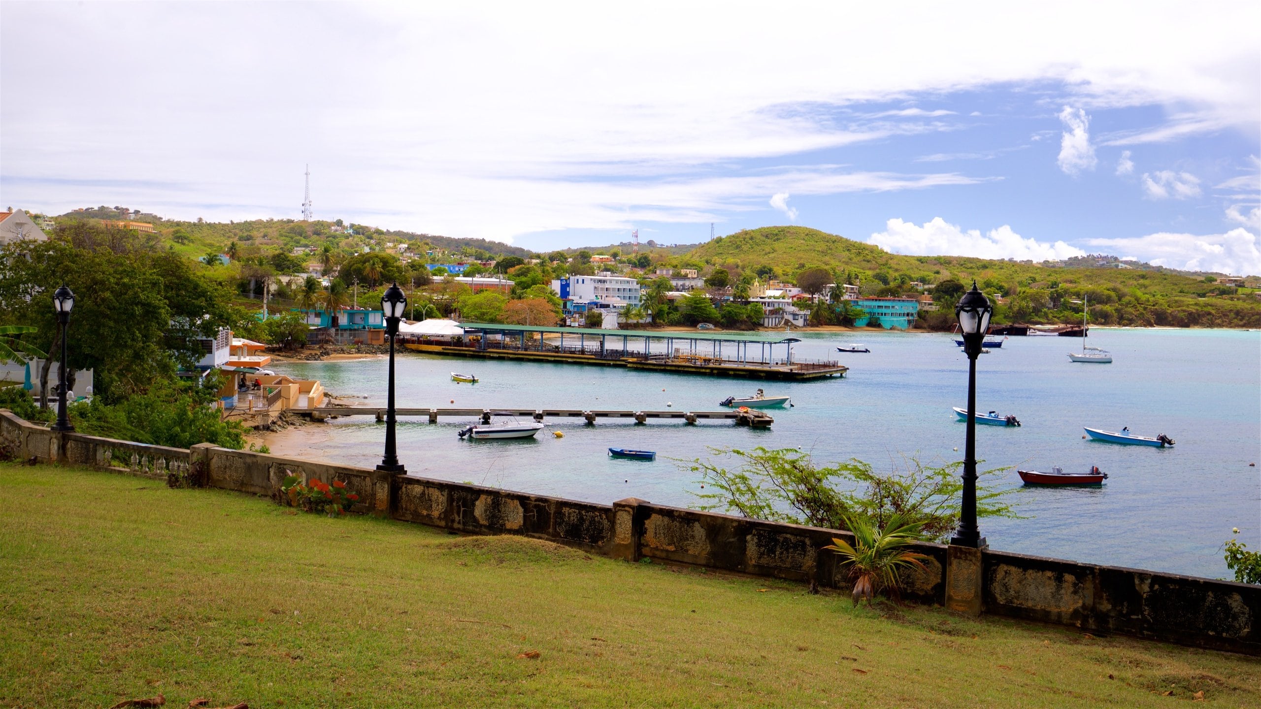 Visitez Ile de Vieques : le meilleur à Ile de Vieques, Vieques en 2024 ...