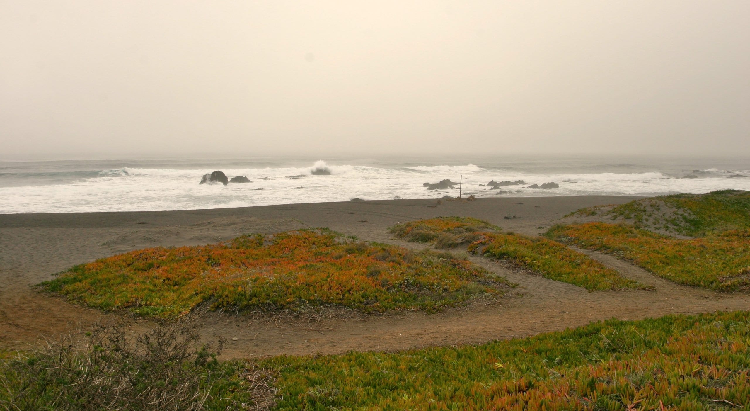 Visit Pichilemu: 2023 Travel Guide for Pichilemu, O'Higgins Region ...