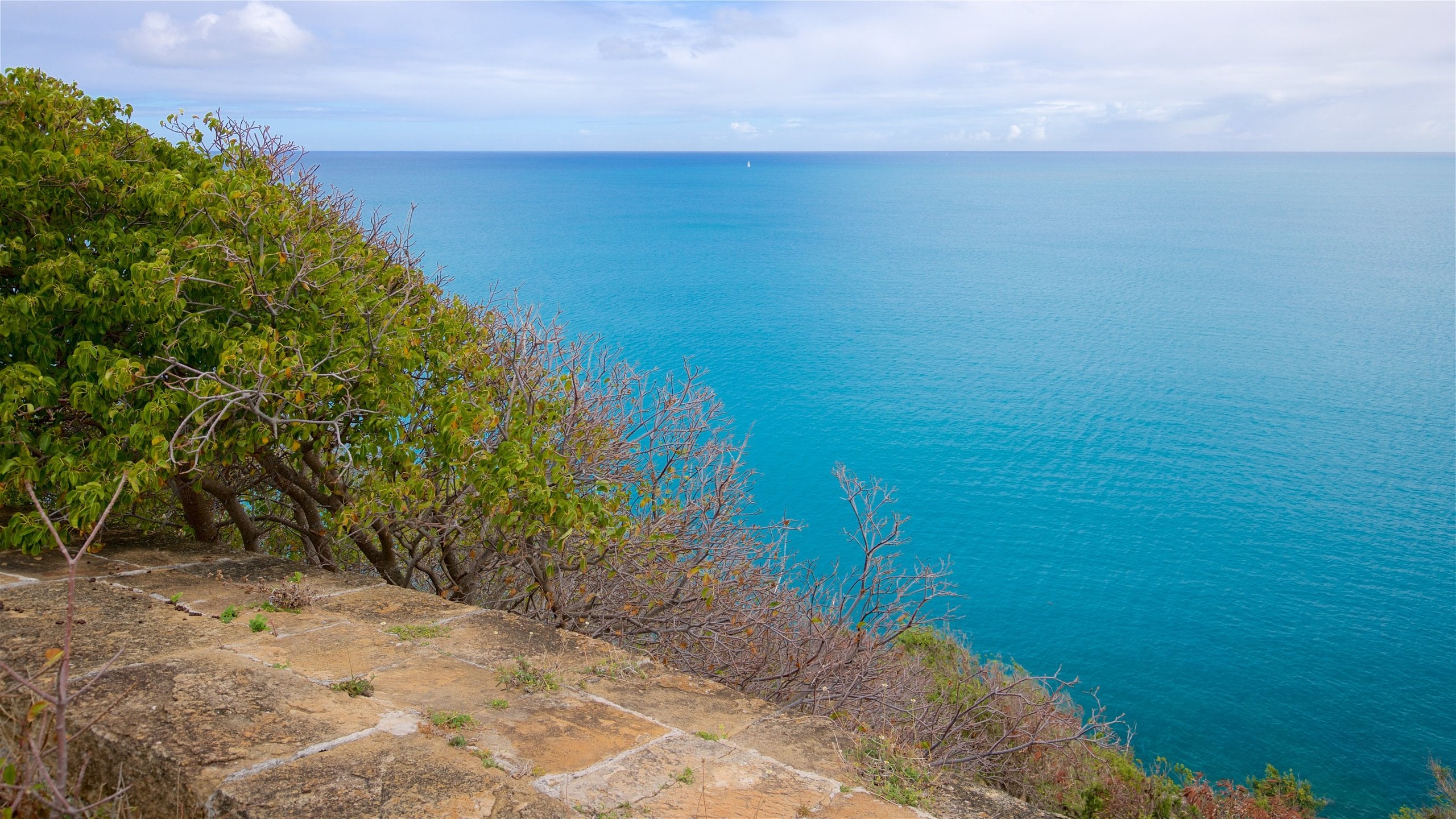 Fort Barrington, St. John's Vacation Rentals: house rentals & more | Vrbo