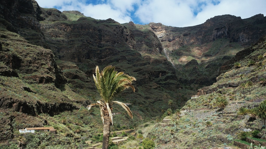 La Gomera caracterizando paisagem e um desfiladeiro ou canyon