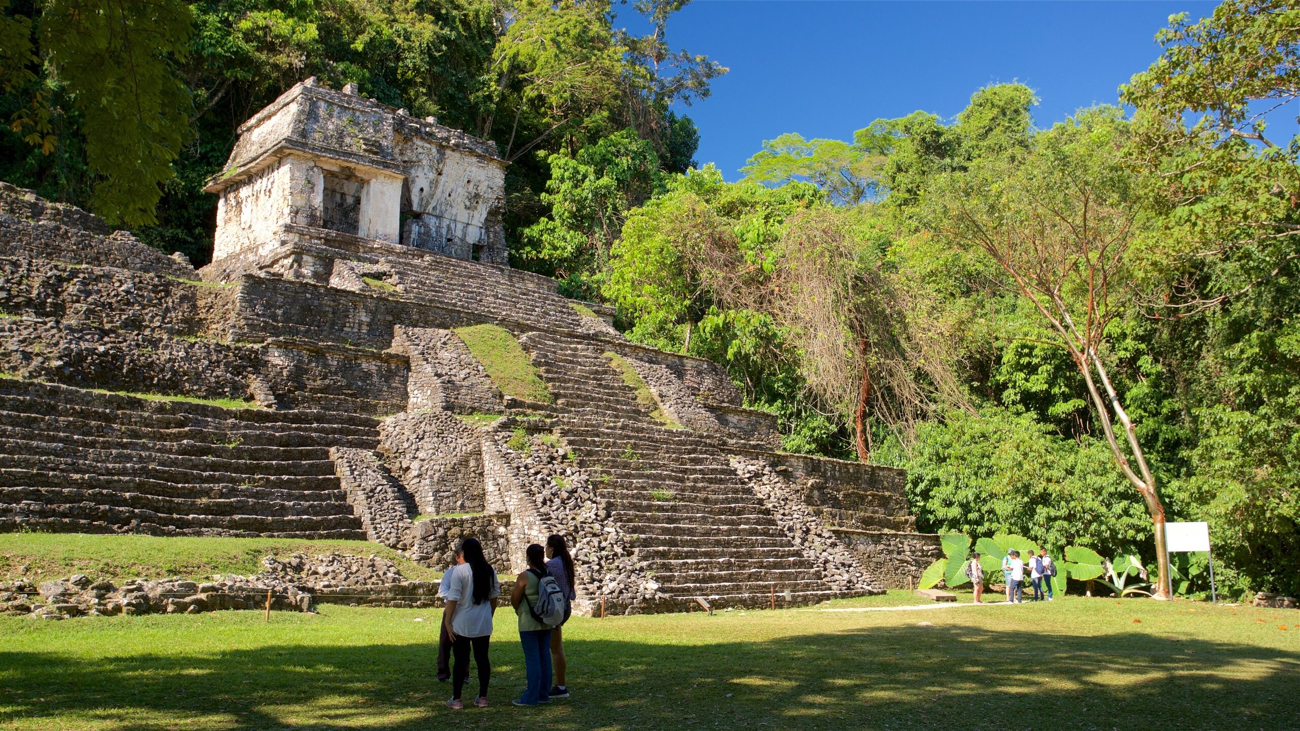 Palenque Chiapas Indians Palenque In Mexico Reveals Magnificent Maya