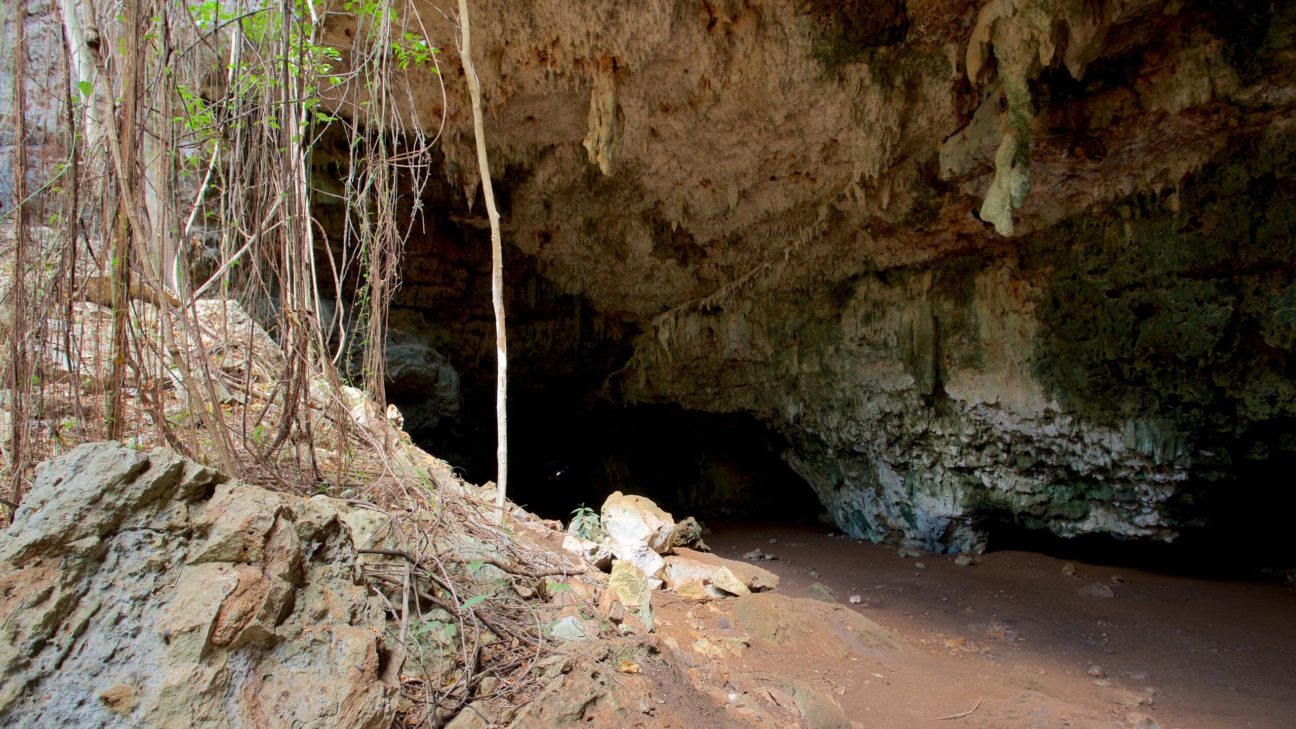 Calcehtok Caves in Mérida - Tours and Activities | Expedia.ca