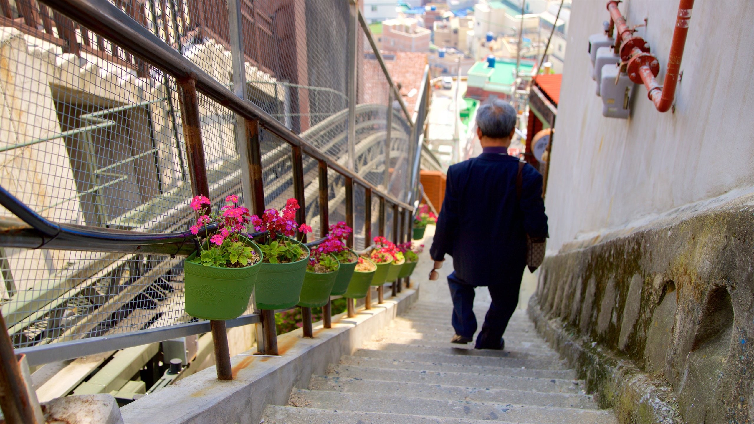 Aluguel de temporada em 168 Stairs, Busan: Casas e muito mais | Vrbo