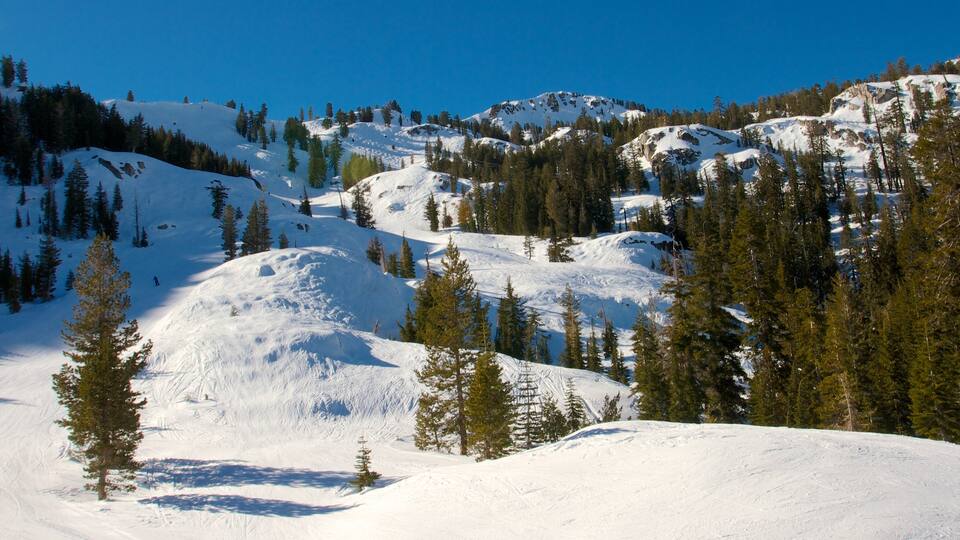 Squaw Valley Resort que inclui montanhas, neve e paisagem