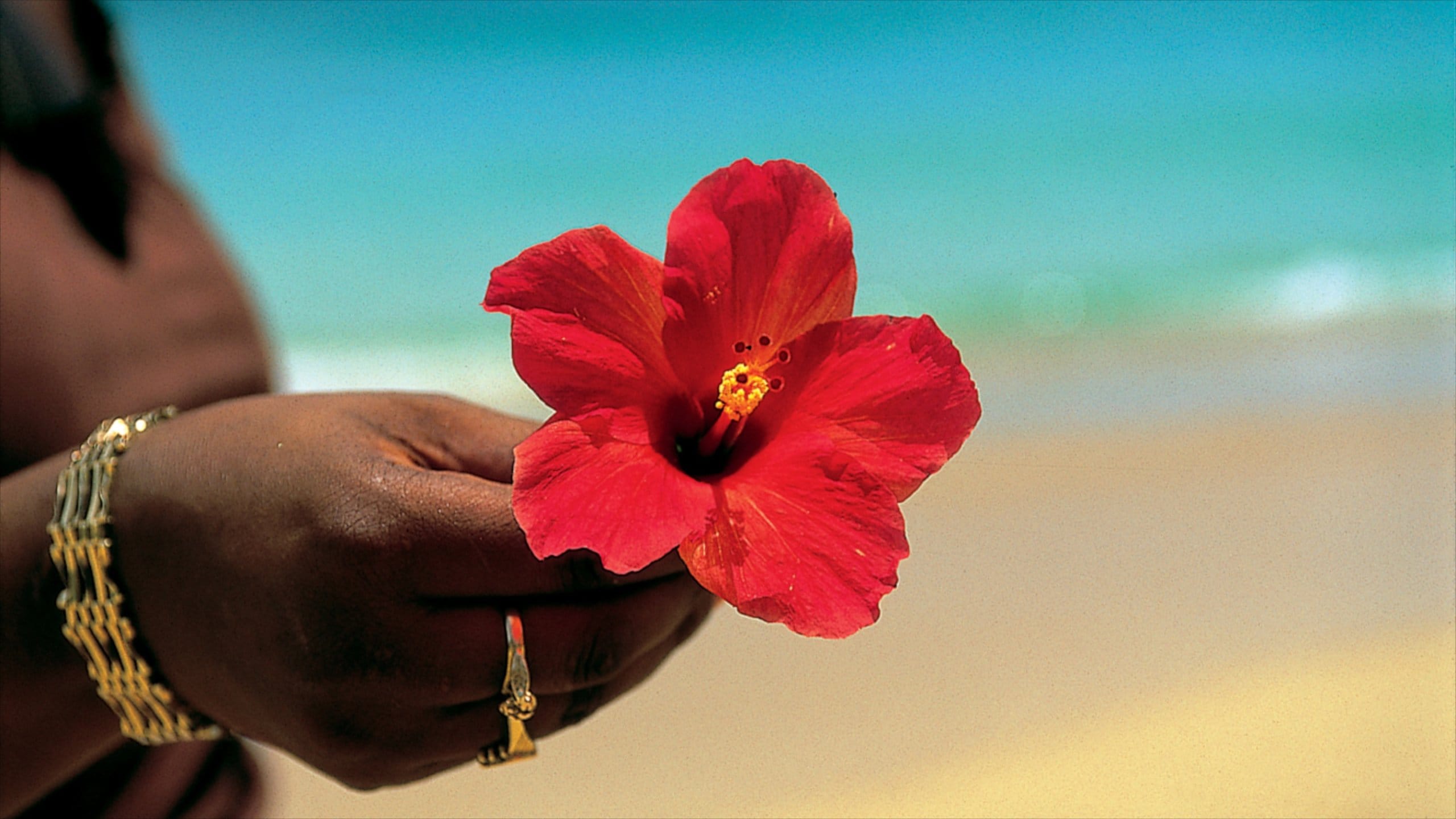 St Lucia National Flower Festival | Best Flower Site