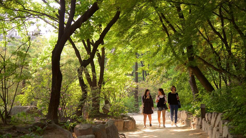 Palácio de Deoksugung que inclui um jardim assim como um pequeno grupo de pessoas