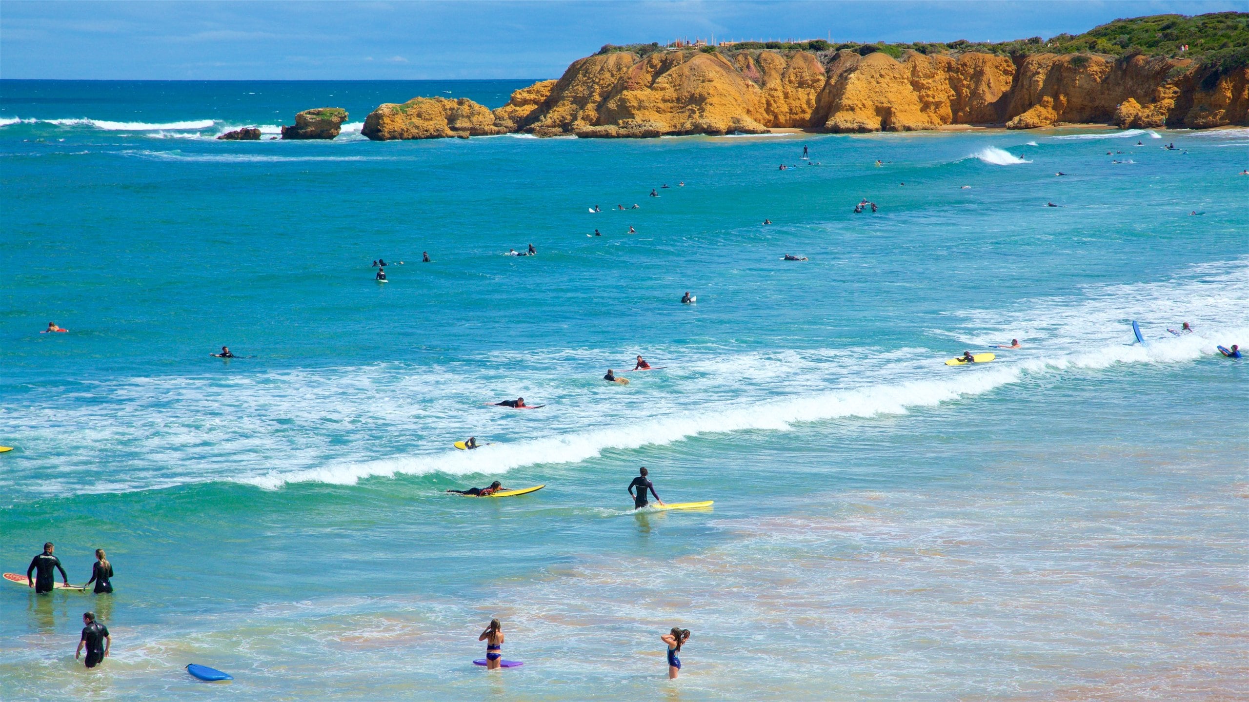 10 Fun Things to Do in Torquay November 2023 | Expedia