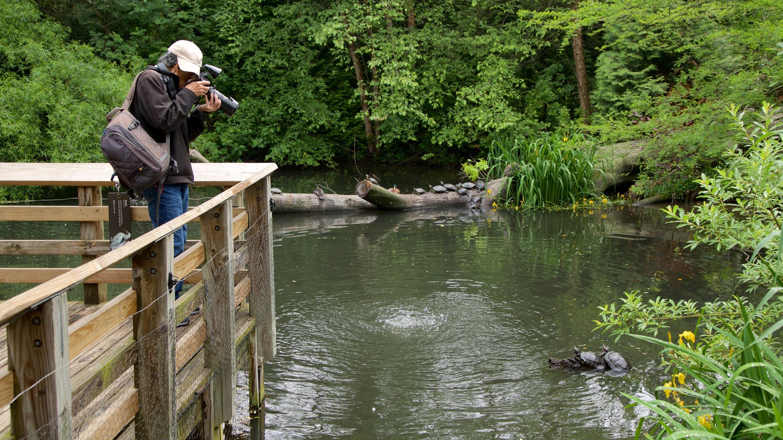 Prospect Park Zoo, US holiday accommodation: holiday houses & more | Stayz