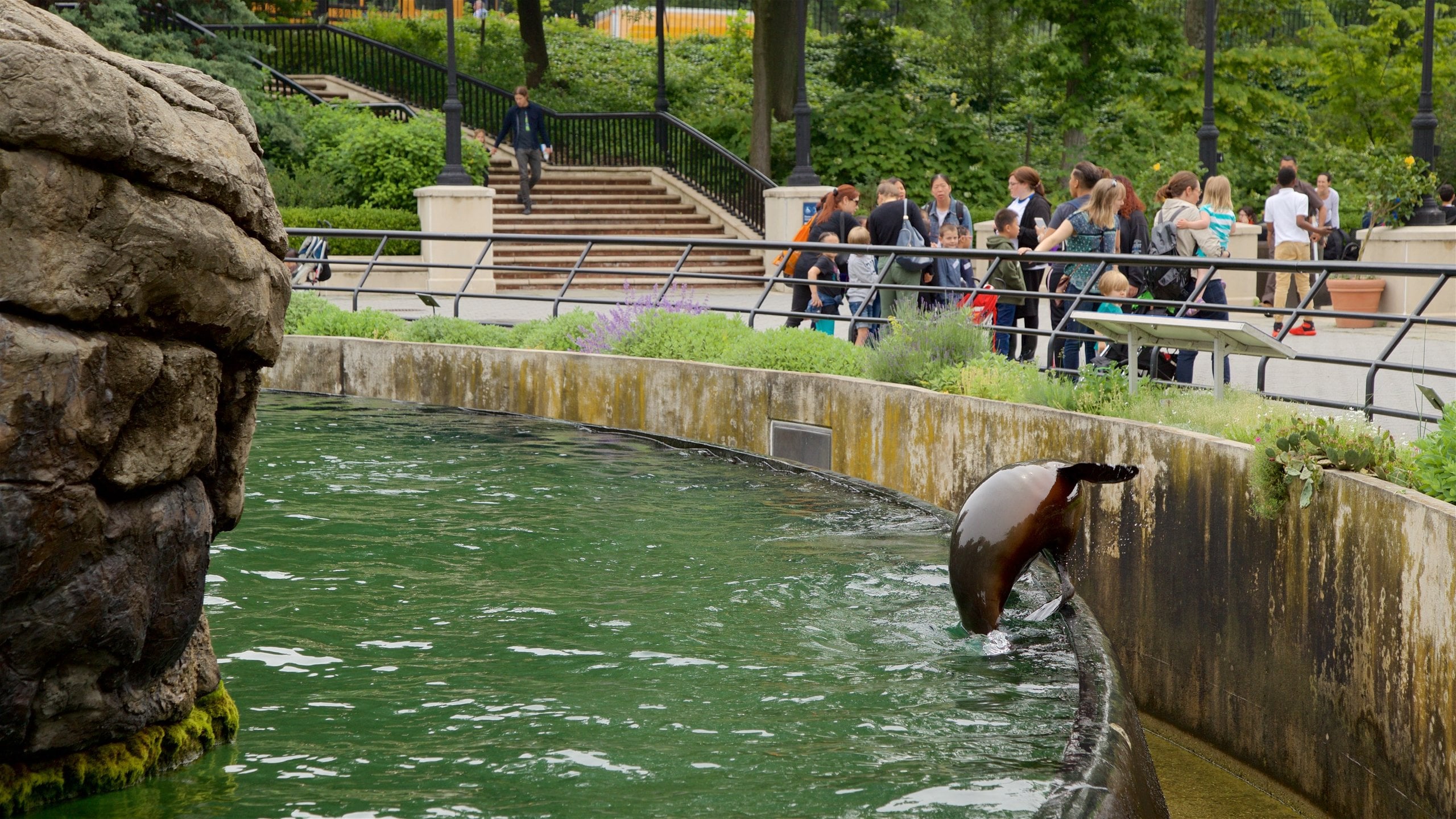 Prospect Park Wildlife We've Got Some Purrfectly Wonderful News! We