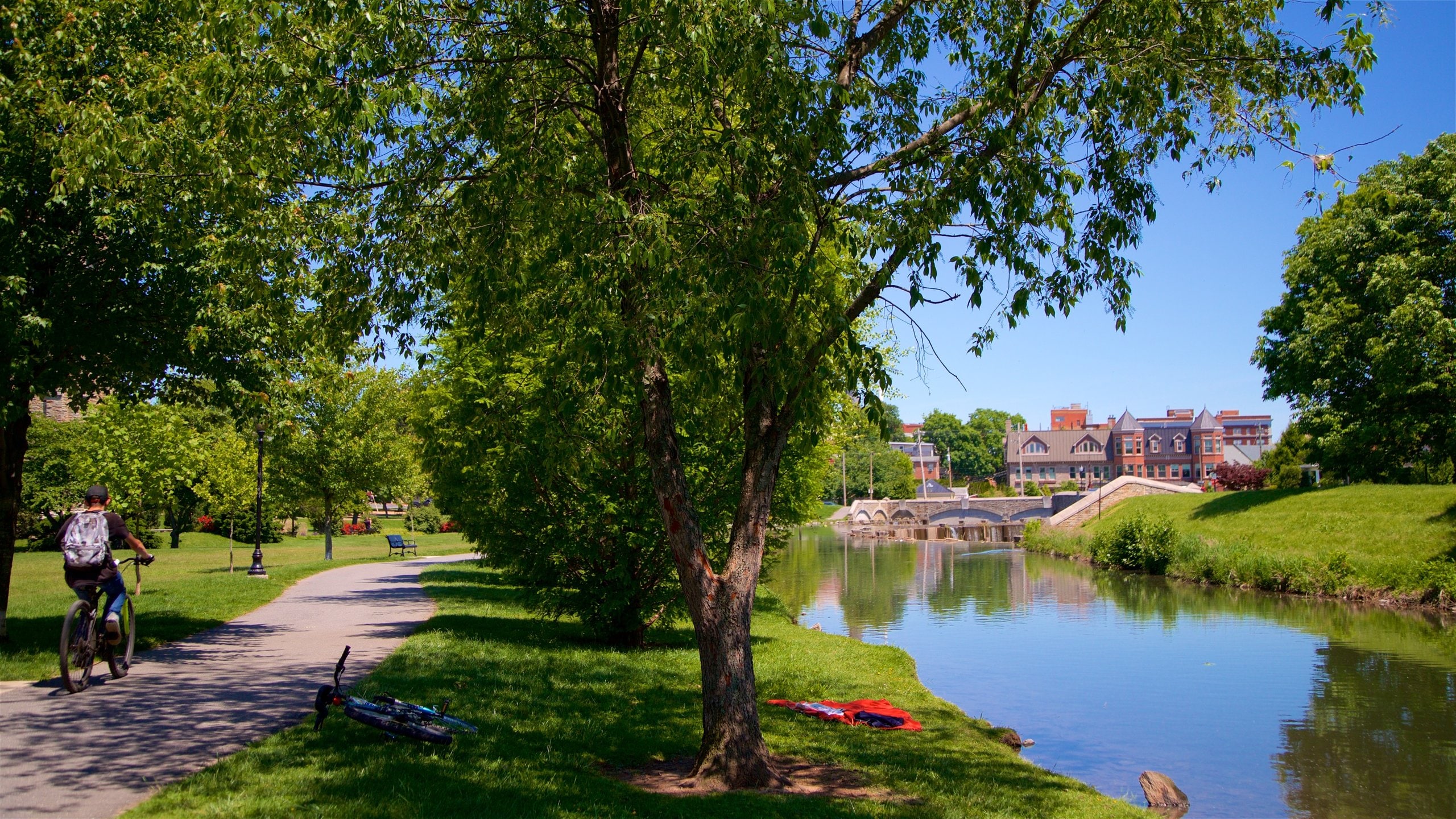 Vrbo Frederick Maryland at Brodie Eldershaw blog