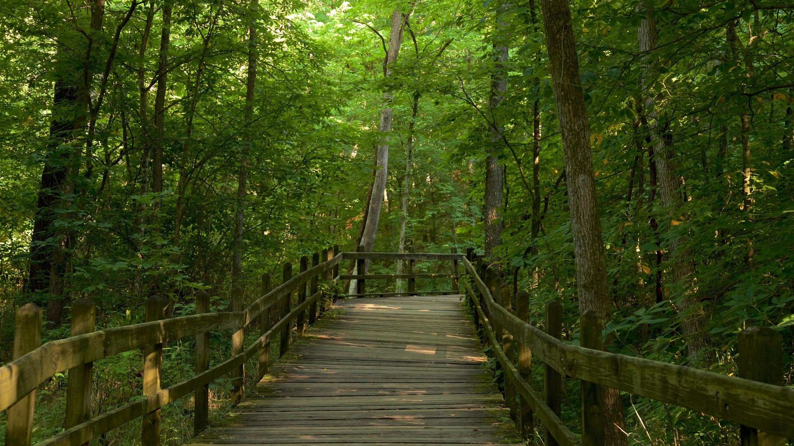 Rock Bridge Memorial State Park, US holiday accommodation from AU$ 107 ...