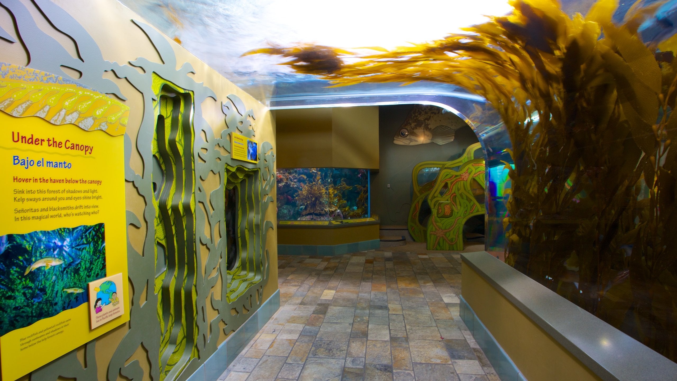 Monterey Bay Aquarium Map