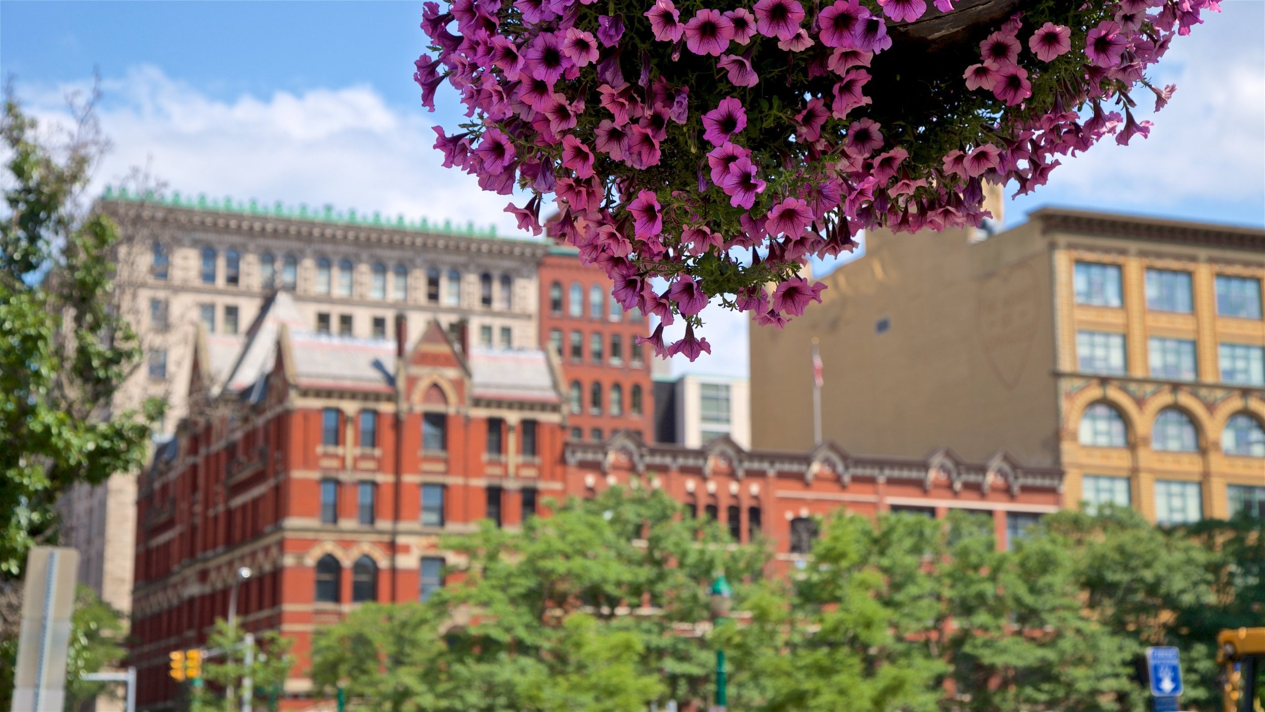 Parques Faciles De Syracuse Attractions & Things To Do In Syracuse, NY