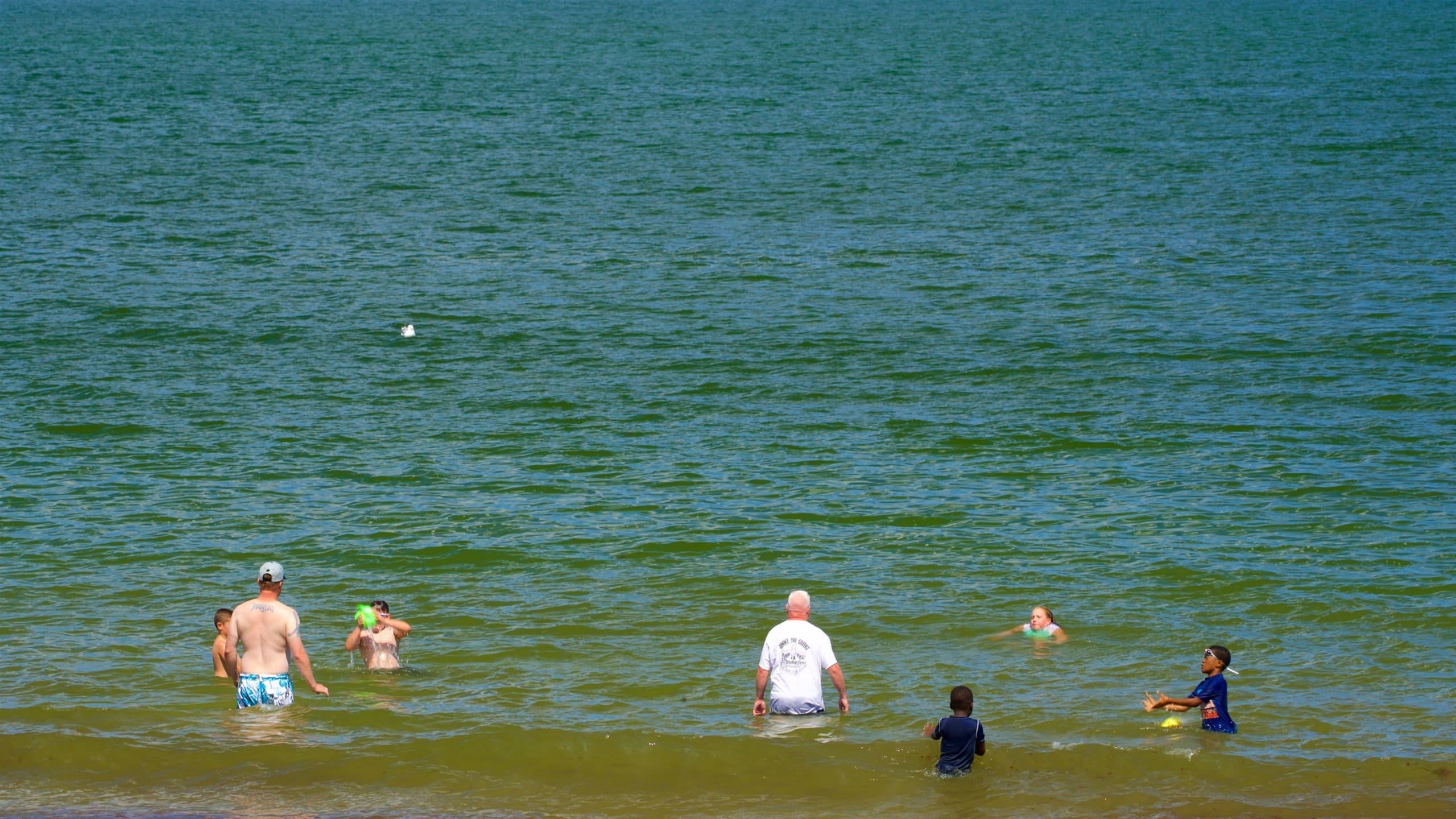 Ferry Beach State Park