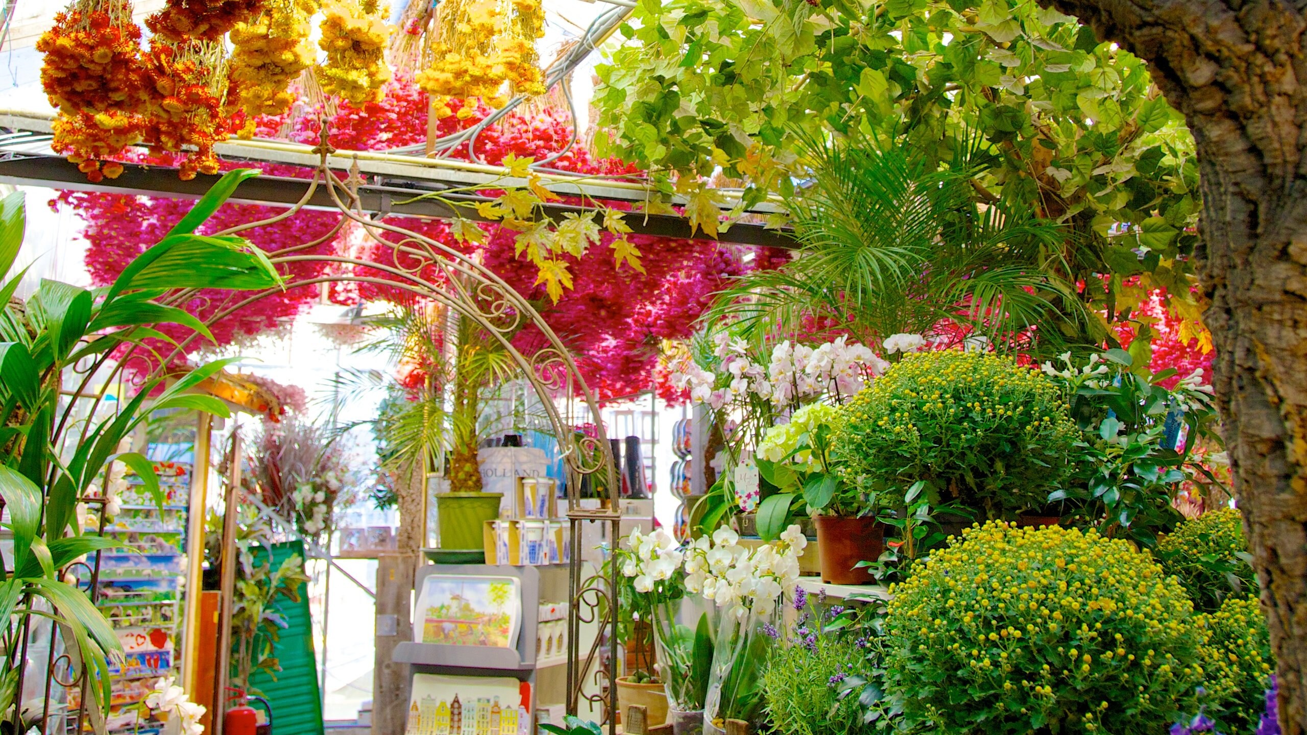The Flower Market City Deep | Best Flower Site