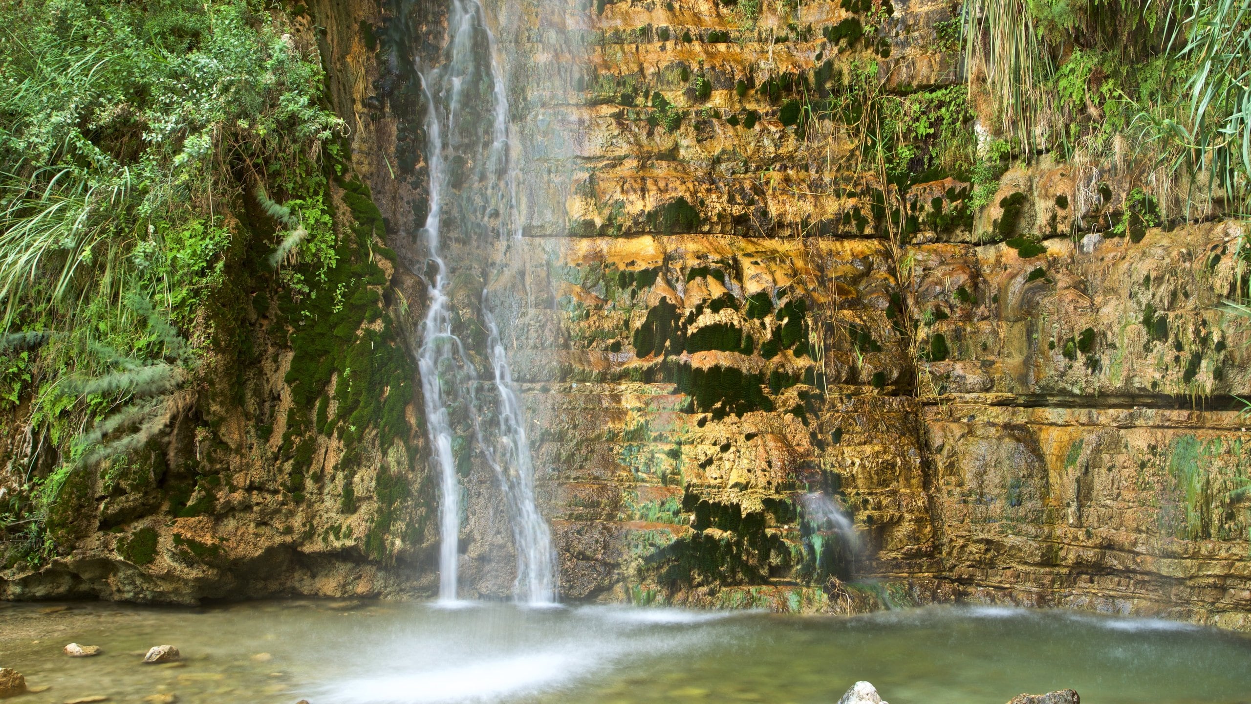 Réserve naturelle d’Ein Gedi : Conseil régional de Tamar - Visites ...