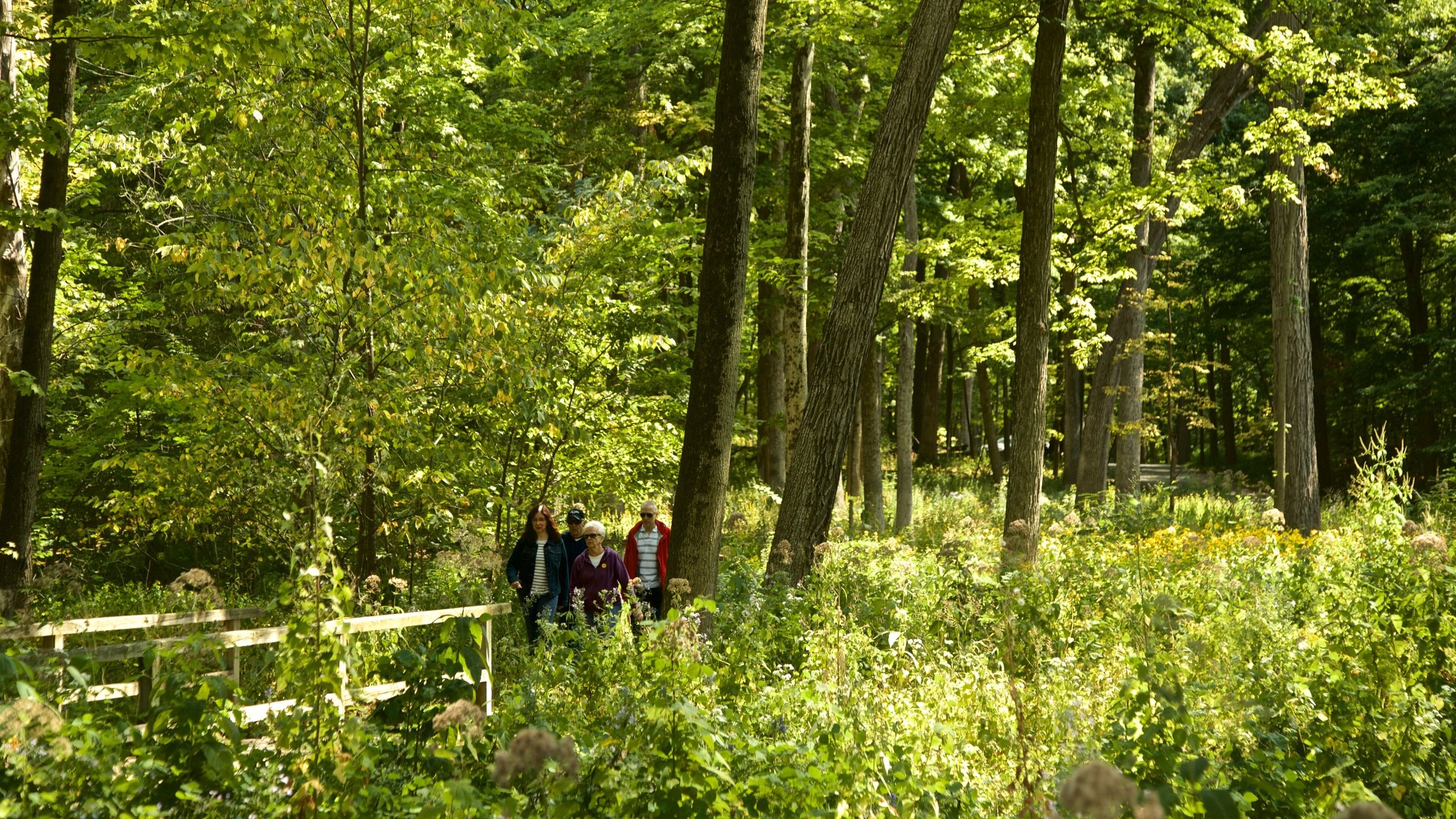 Visita Morton Arboretum en Chicago - Tours & Actividades | Expedia.mx