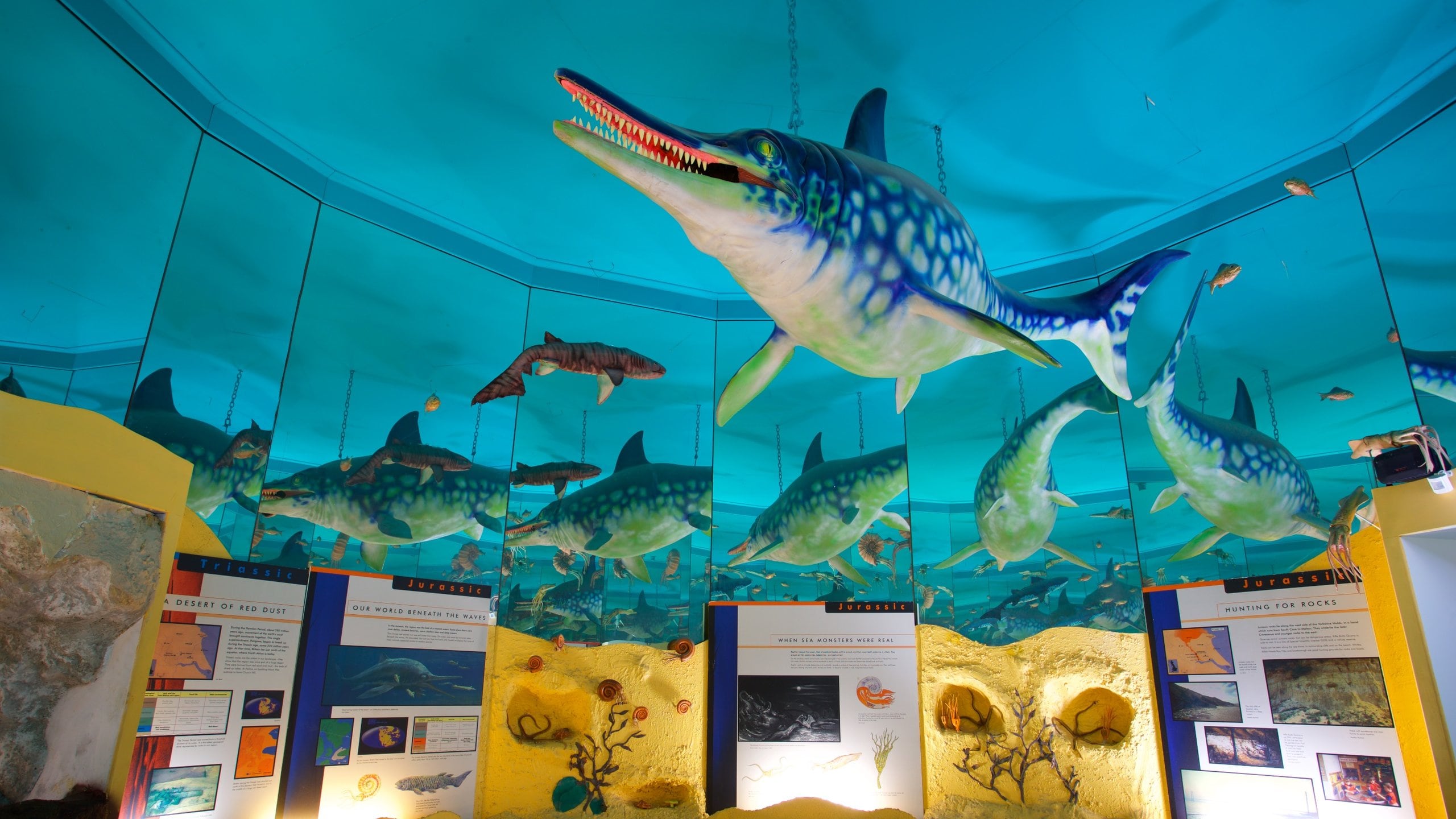 Hull and East Riding Museum in Hull | Expedia.co.uk