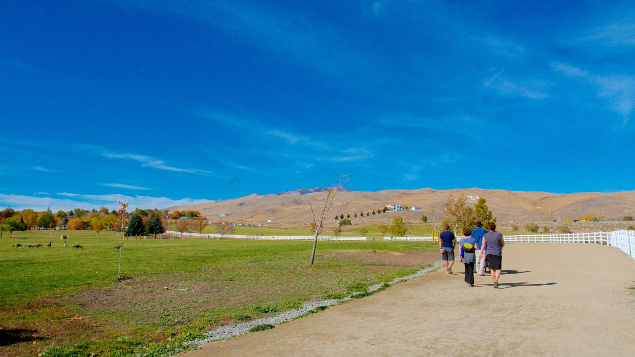Rancho San Rafael Park Tours - Book Now | Expedia