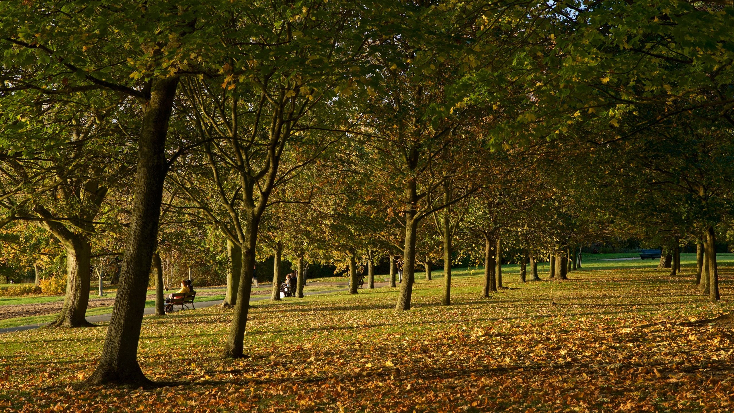 Regent's Park in Regent's Park | Expedia