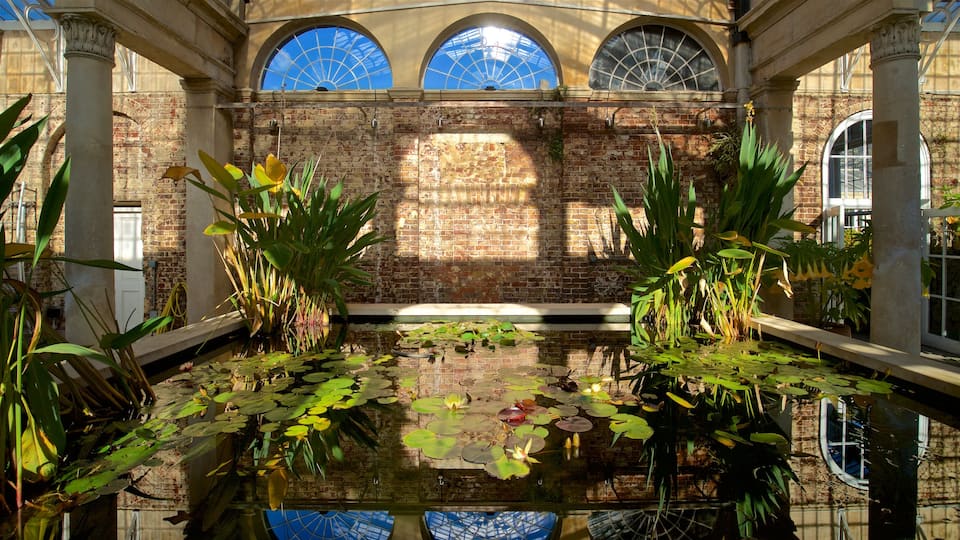 Syon Park que inclui um lago