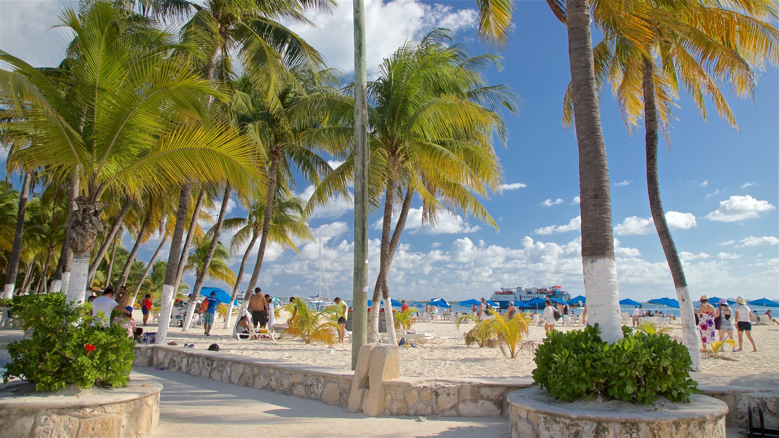 Playa Norte De Miami Beach 8 South Beach Ideas | South Beach, South
