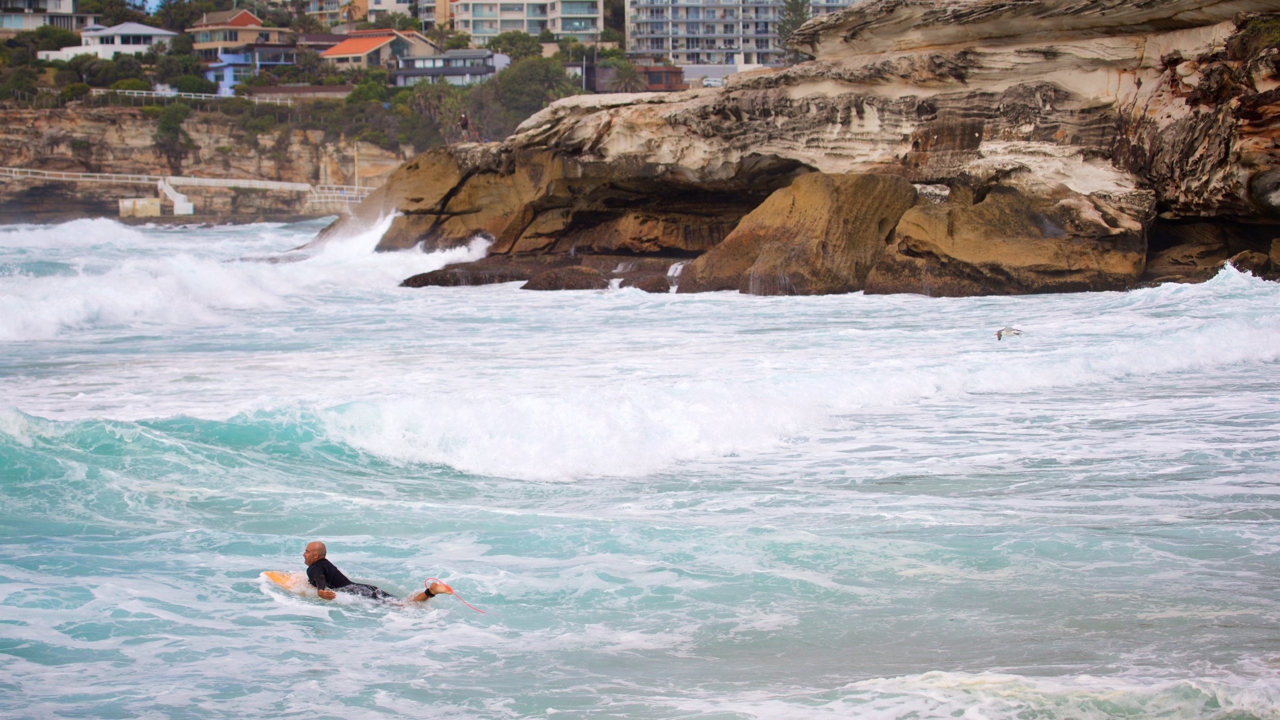 Visit Tamarama: 2024 Tamarama, Sydney Travel Guide | Expedia
