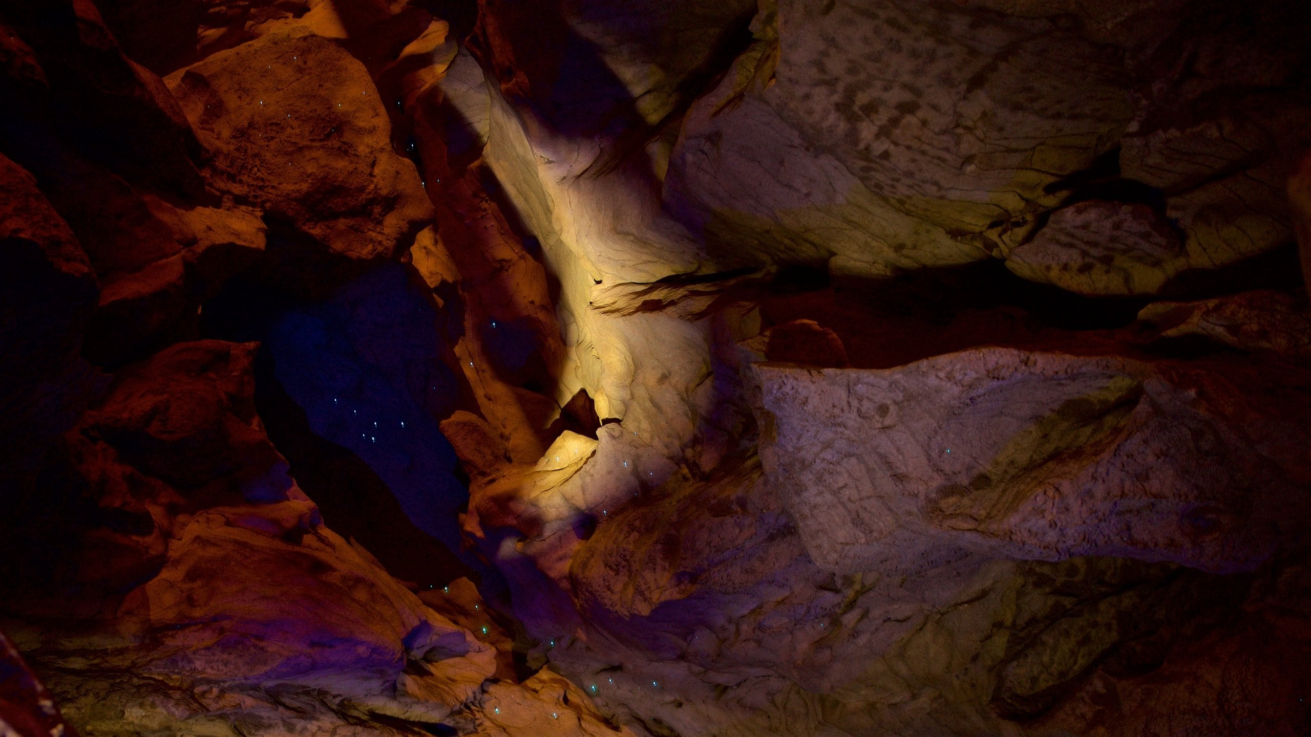 Waitomo Caves holiday homes: holiday houses & more | Bookabach