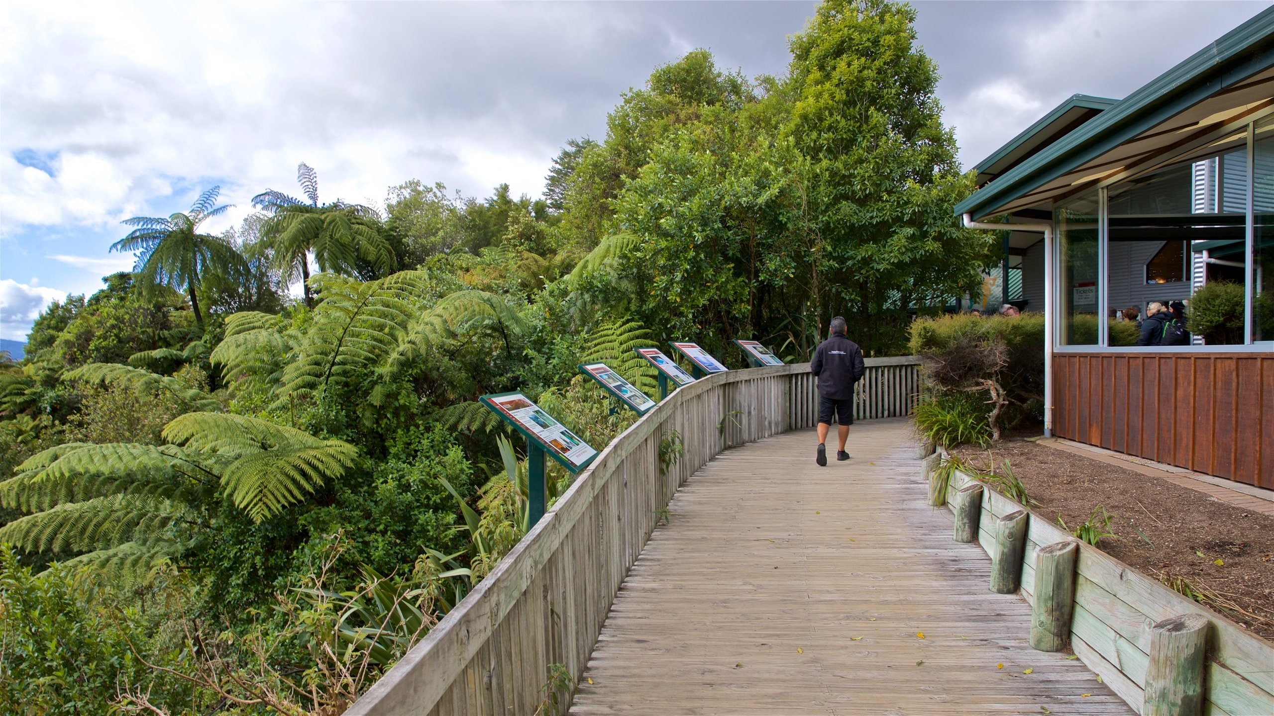 Waimangu Volcanic Valley Tours - Book Now | Expedia