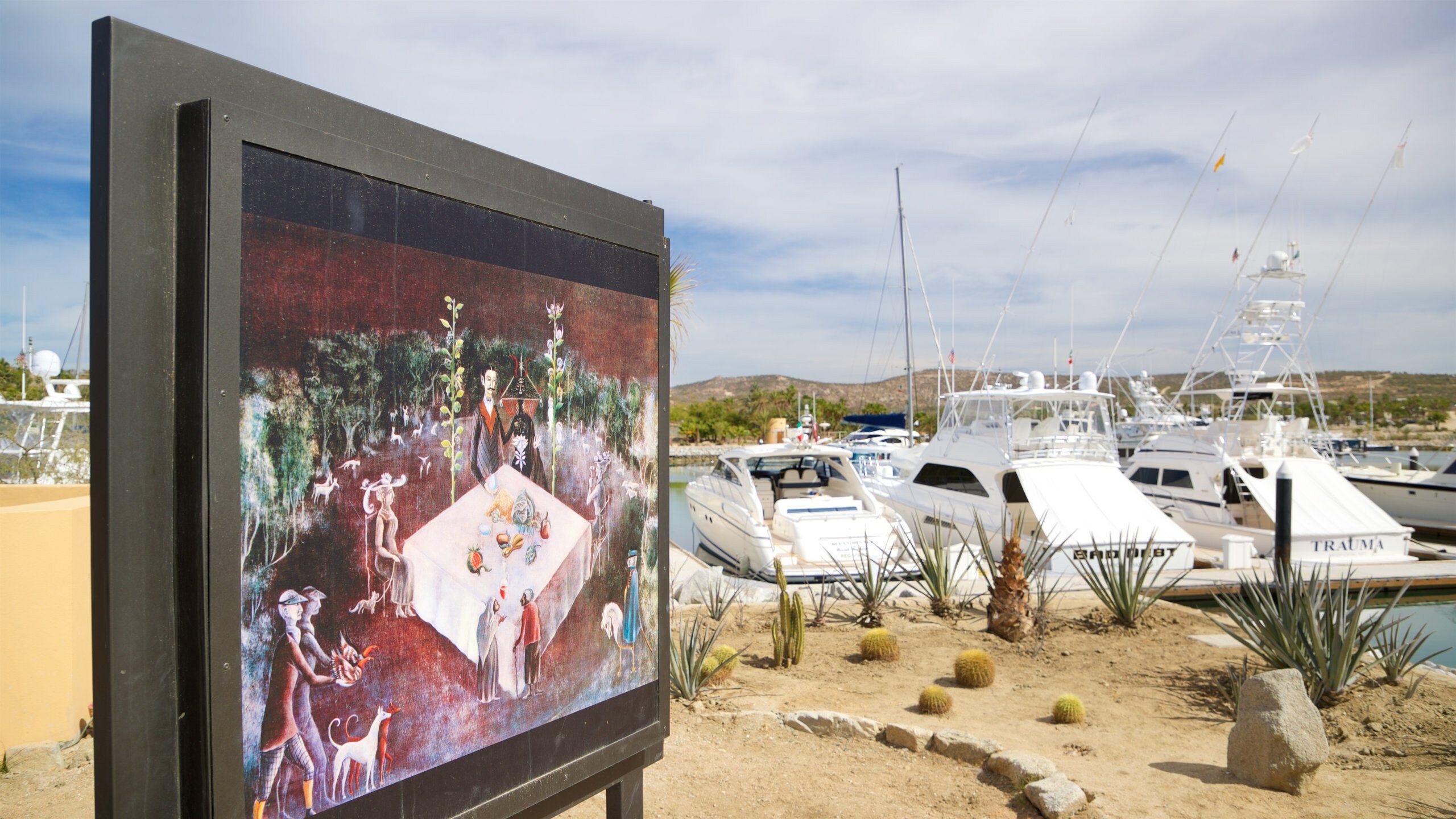 Puerto Los Cabos : Découvrez San José del Cabo avec Expedia.fr