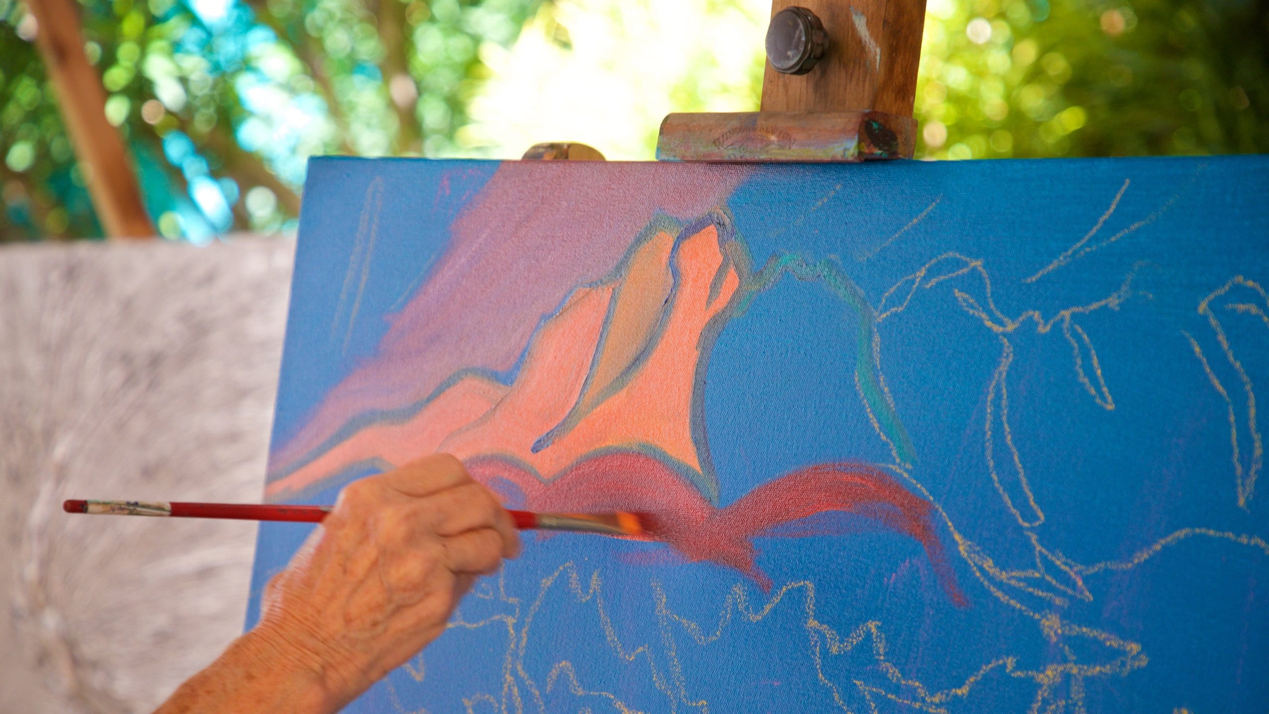 Logan Gallery, Todos Santos Vacation Rentals: hotel rentals & more | Vrbo