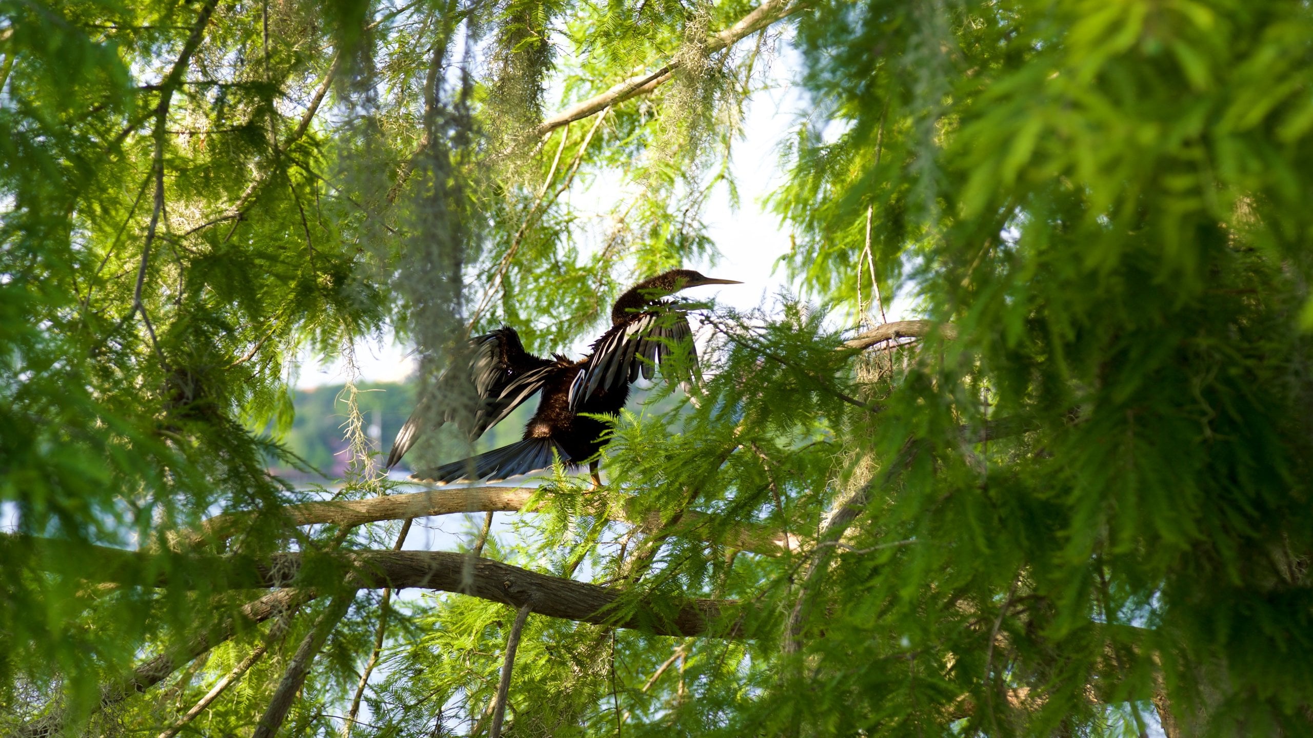 Senator Beth Johnson Park in Ivanhoe Village | Expedia.co.uk