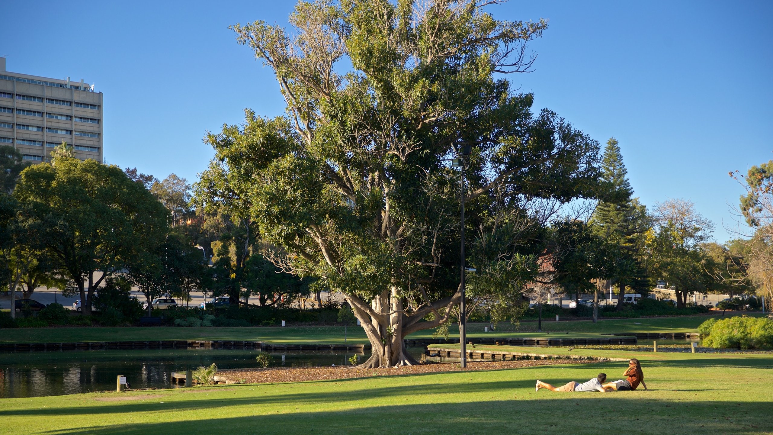 Queens Gardens, East Perth Vacation Rentals: house rentals & more | Vrbo