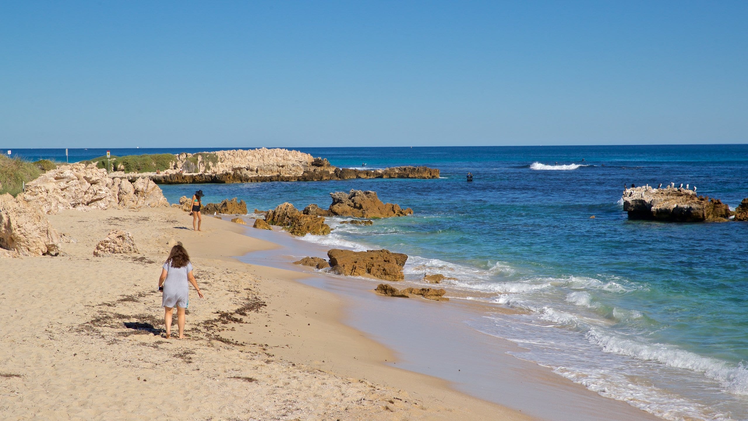 Trigg Beach holiday accommodation from AU$ 95/night | Stayz