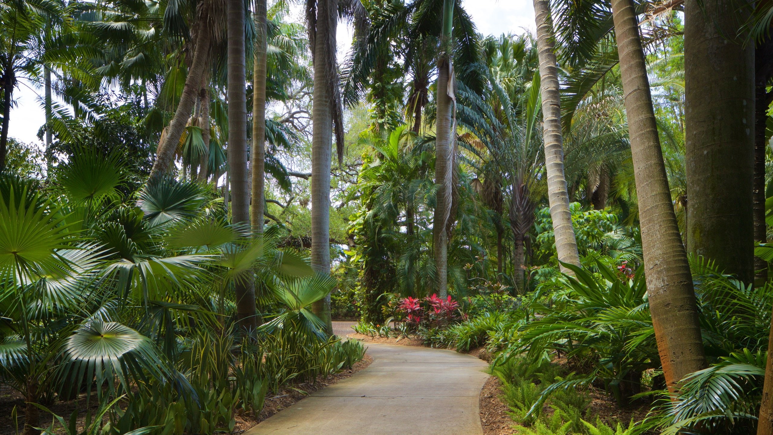 Sunken Gardens in Historic Old Northeast - Tours and Activities ...