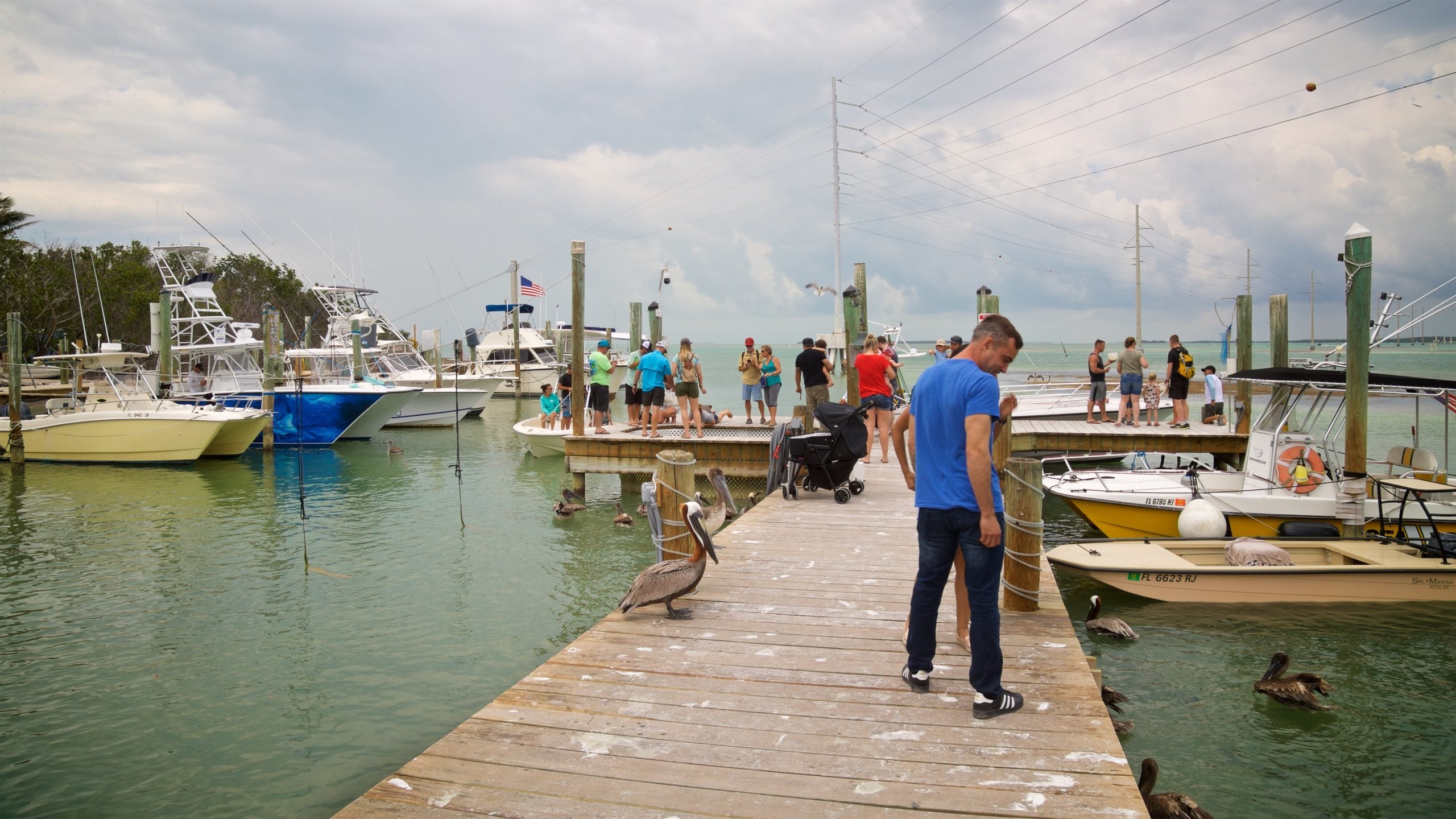 Robbie S Marina Robbie's Of Islamorada | Best Place To Visit In