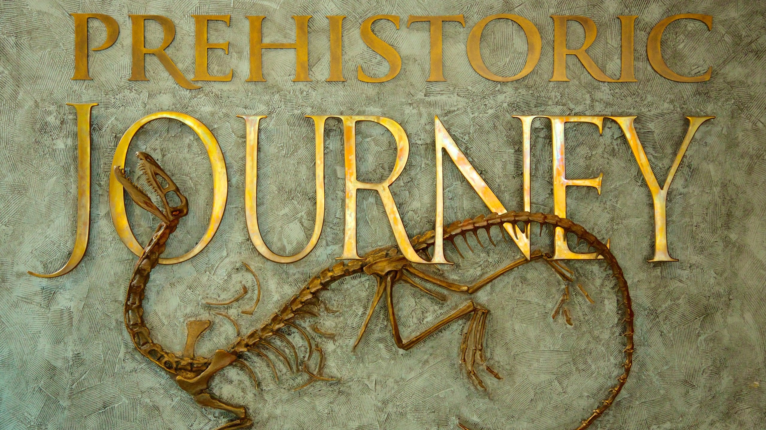 Denver Museum Of Nature And Science Logo